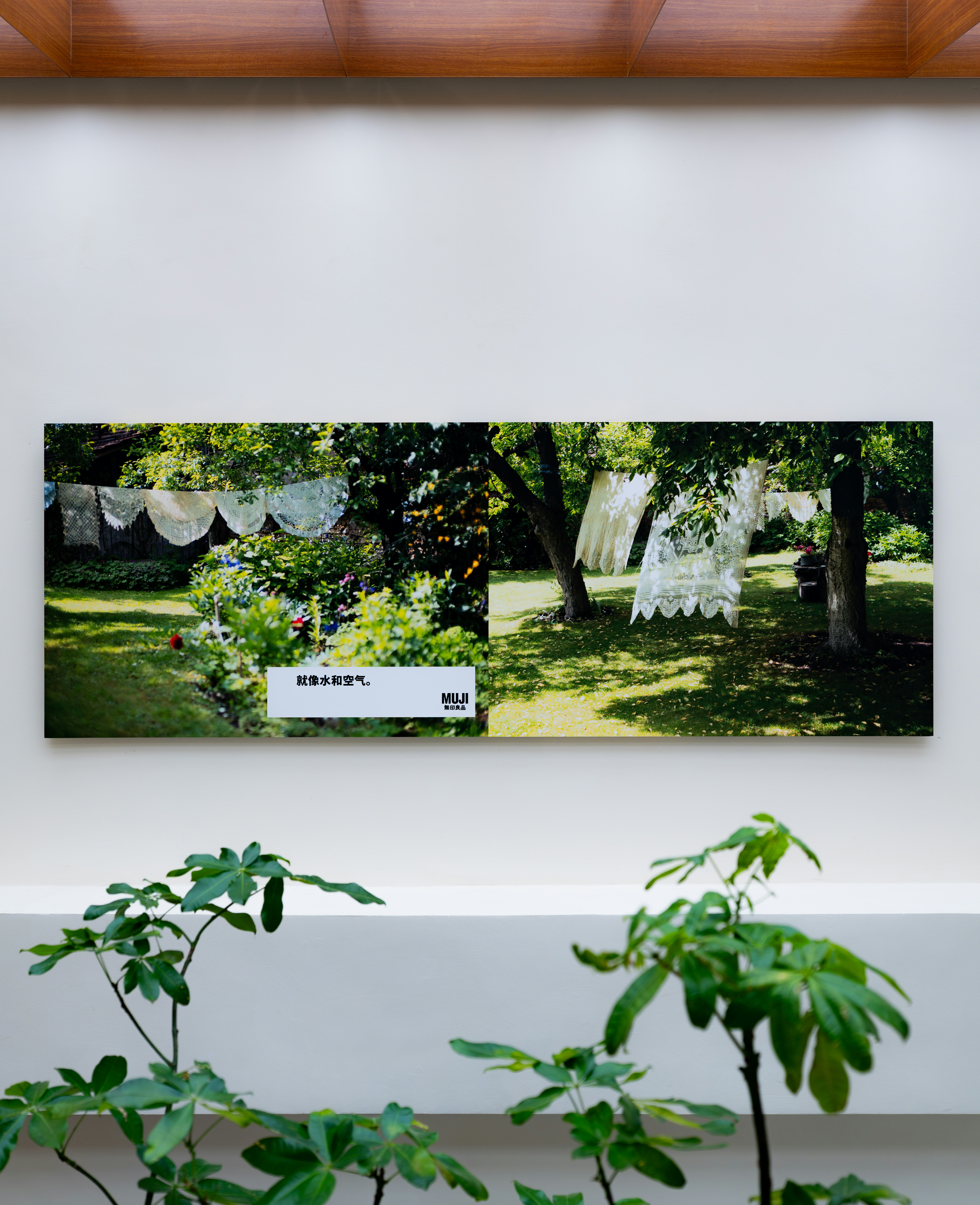 A Quiet Gallery Moment: Framed Garden Light
