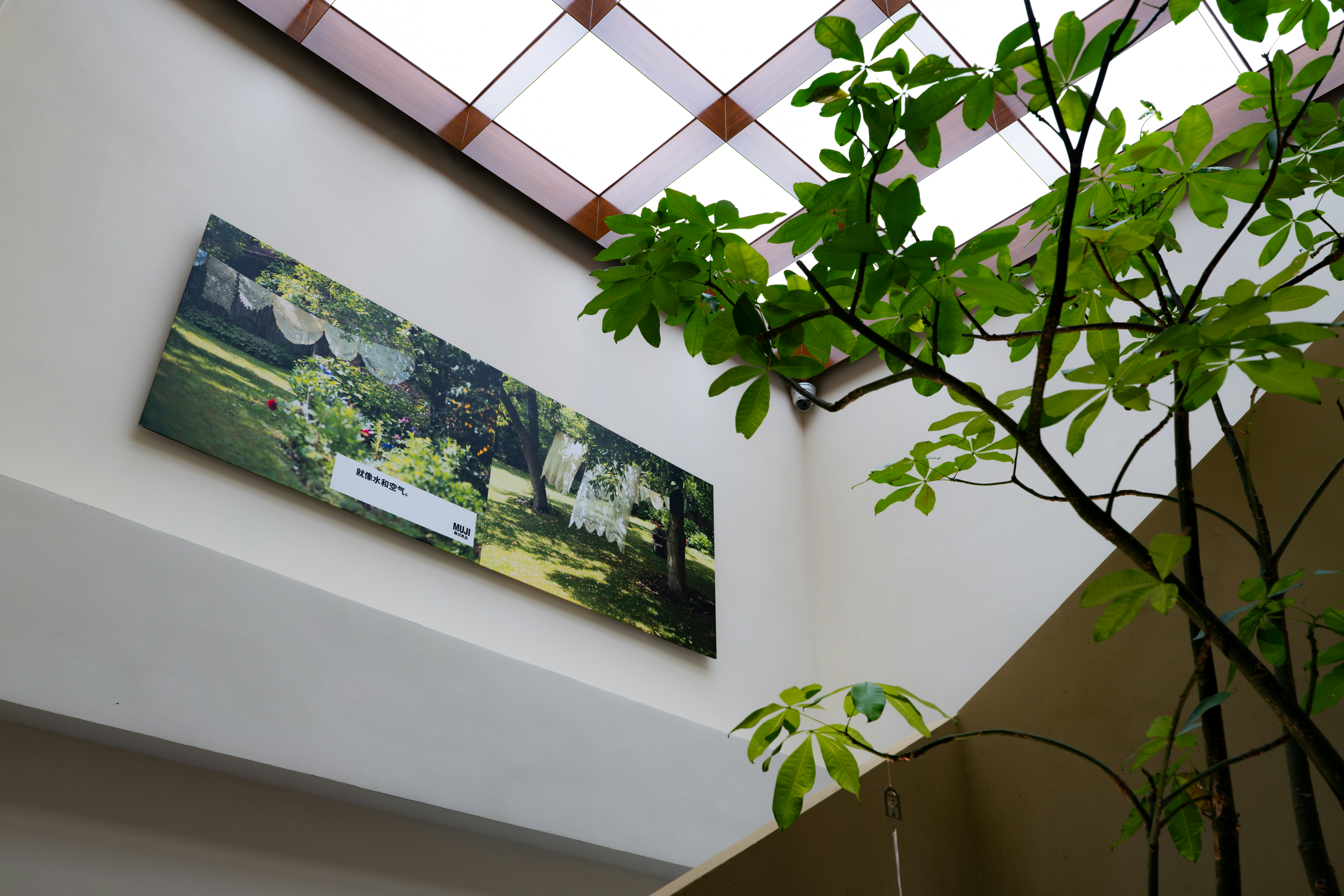 Indoor Atrium with Hanging Screenshot Artwork and Lush Foliage