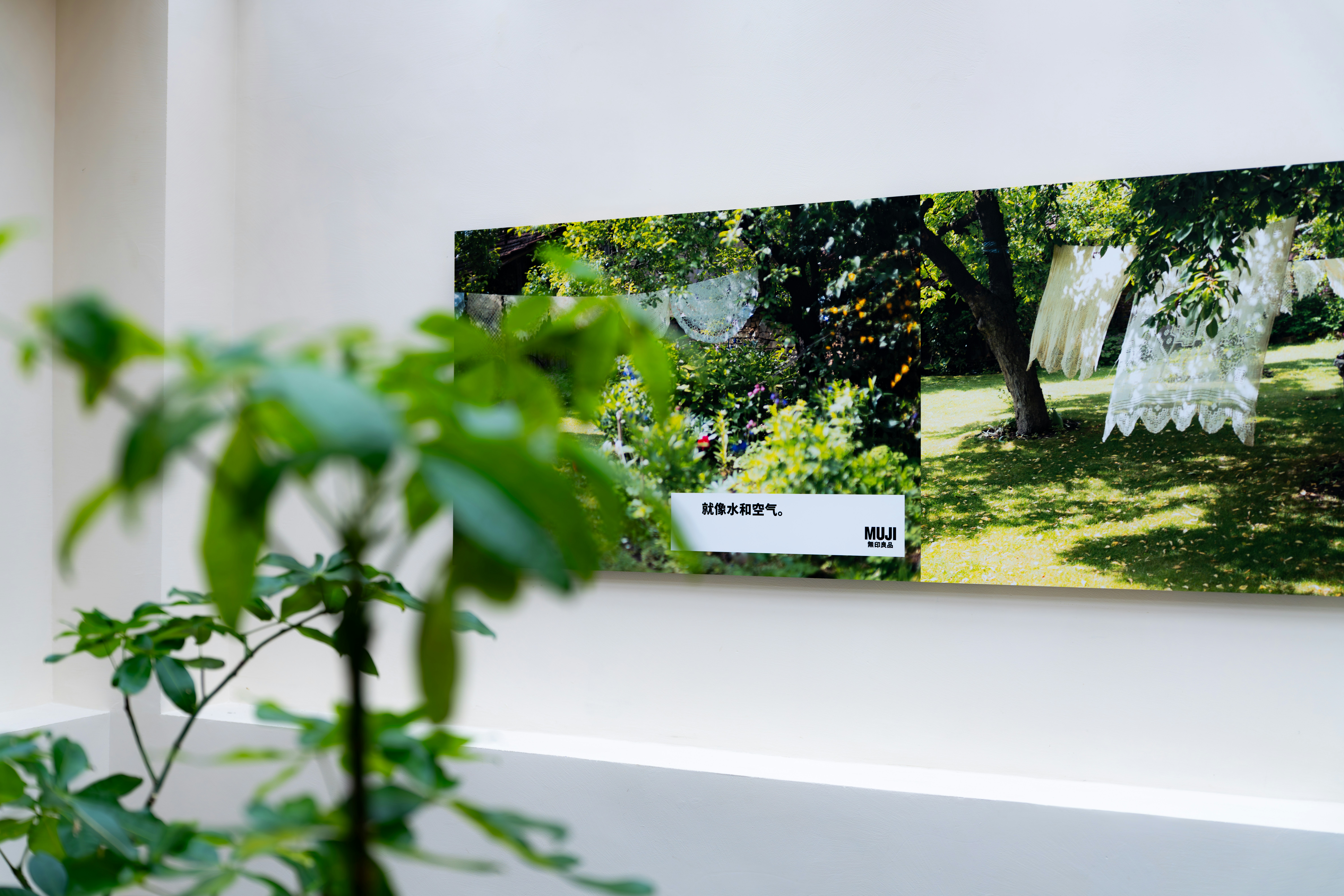 Gallery Scene: Framed Garden Bustle on a White Wall
