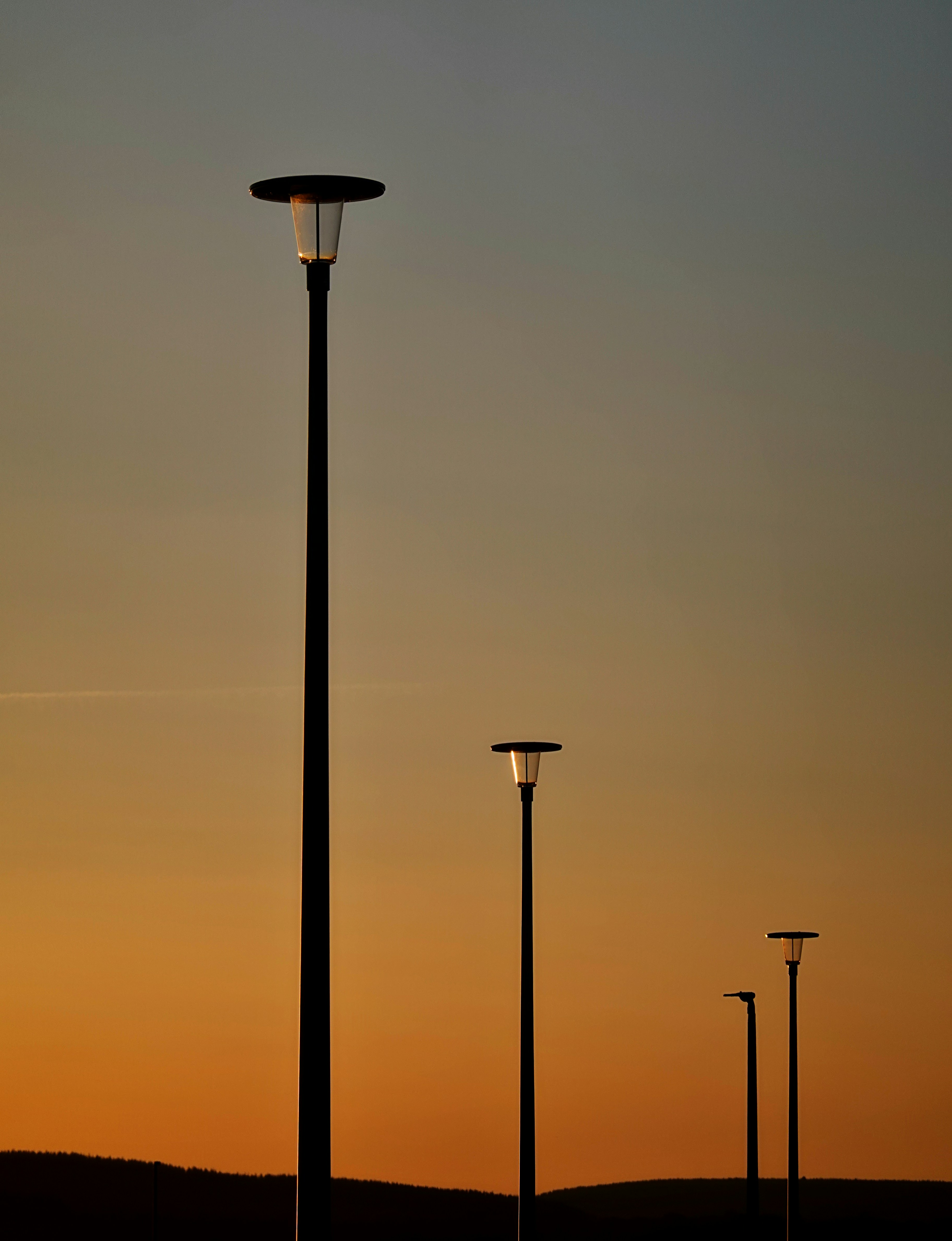 Rising Columns at Dusk: A Row of Street Lamps against a Velvet Horizon