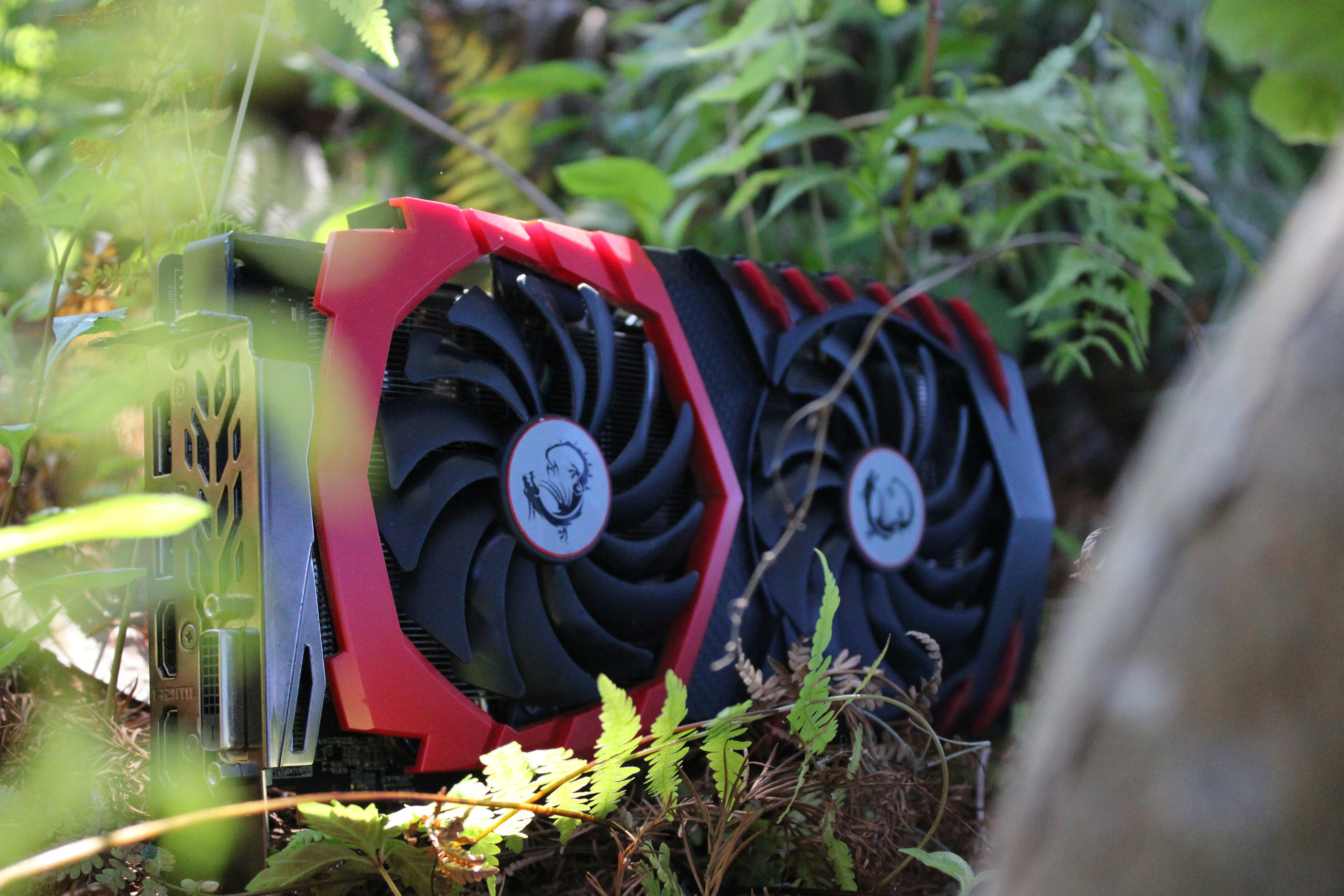 Red-Edged GPU in Quiet Green Underbrush