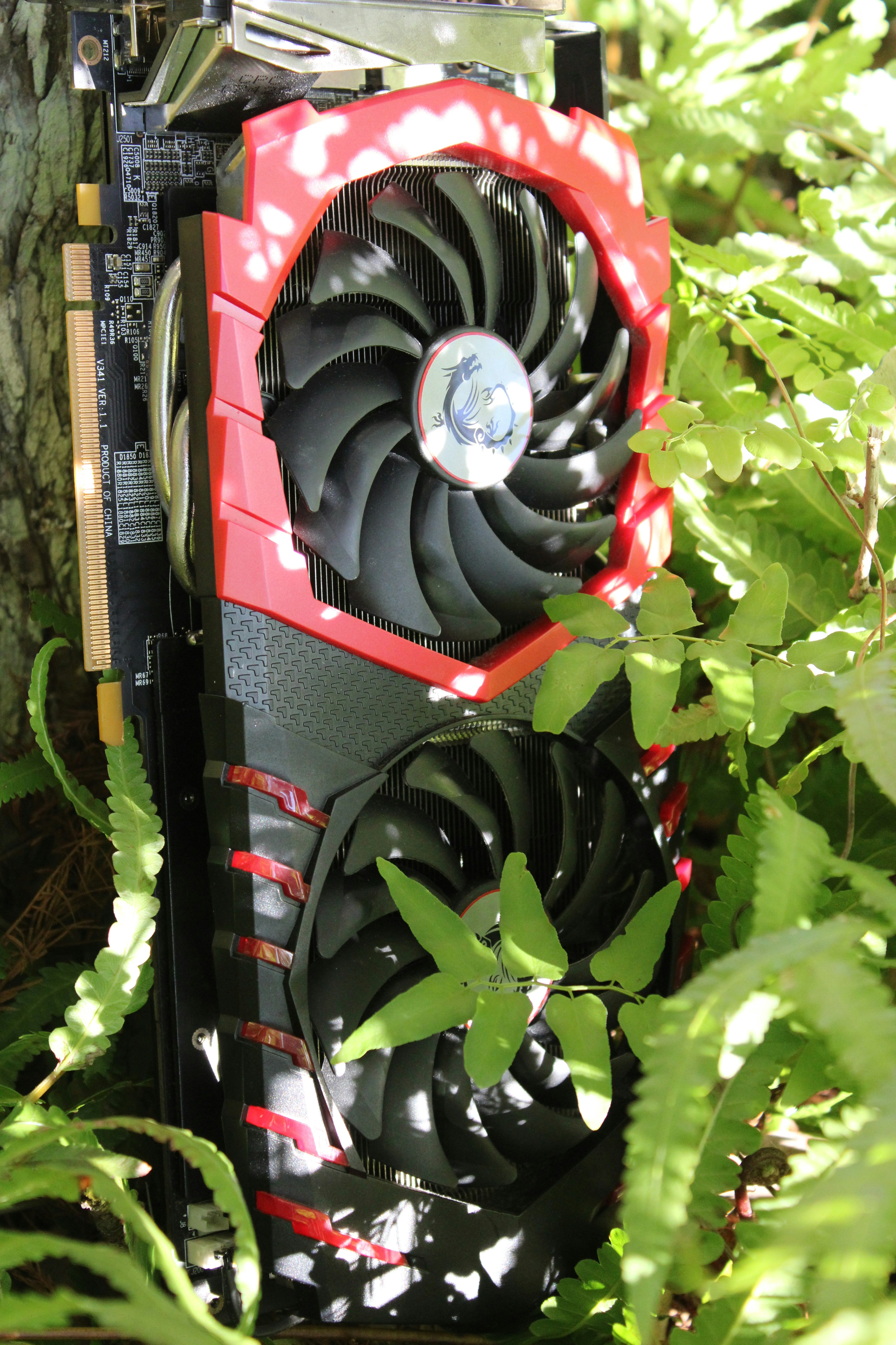 Red Dragon in the Ferns: A Graphics Card Reclaimed by Nature