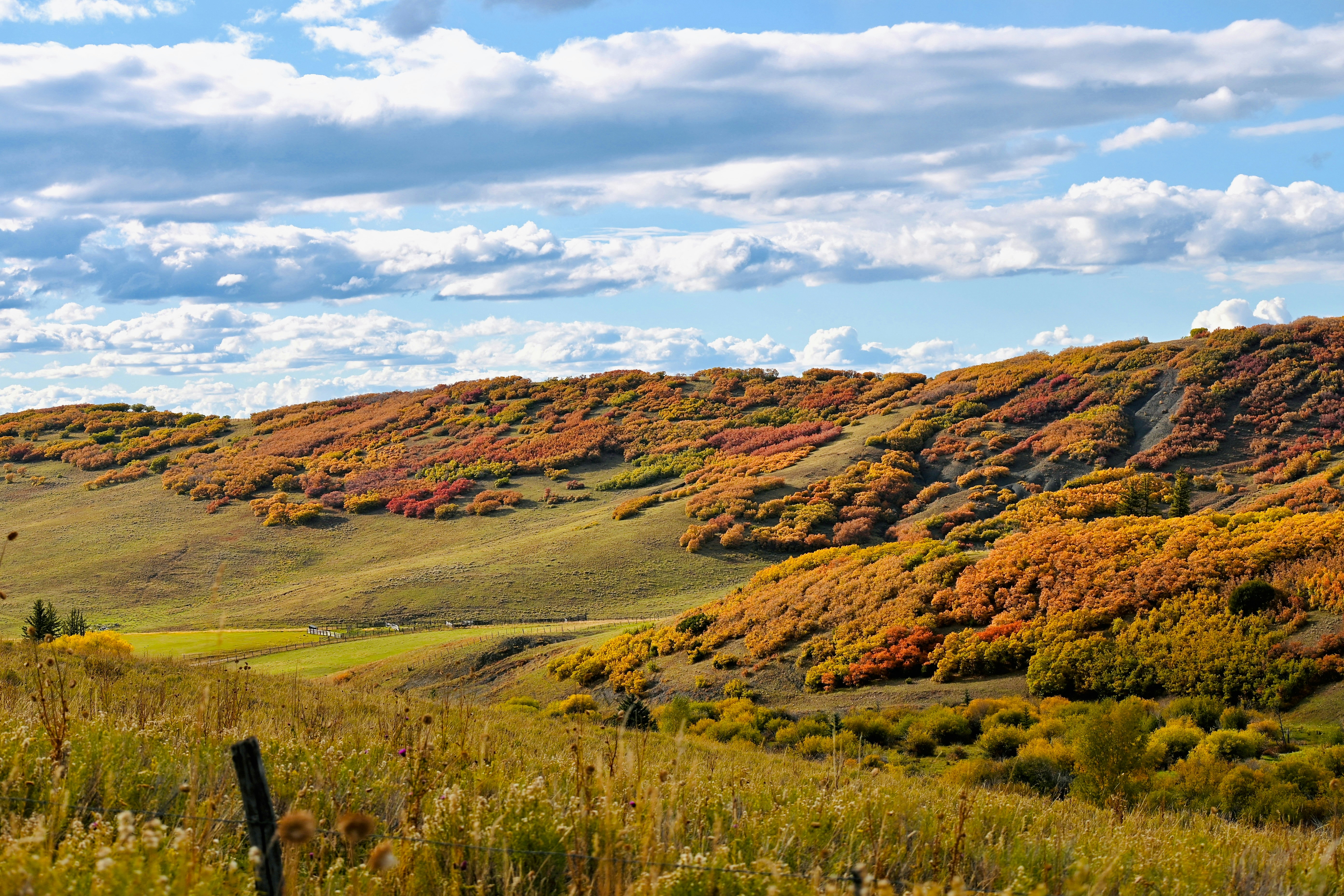 Autumn Hillside Under a Luminous Sky