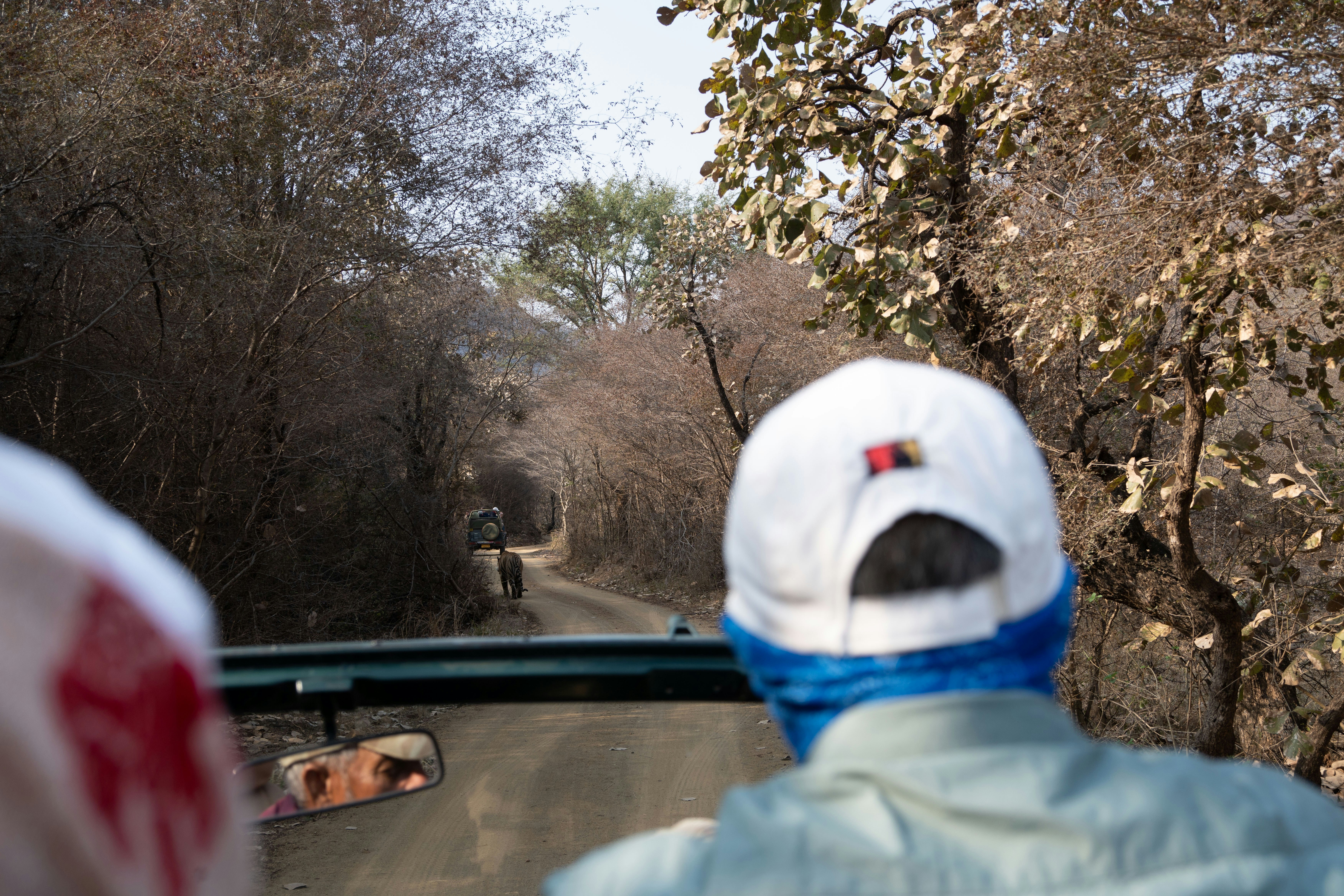 Front Seat View Down a Dusty Road