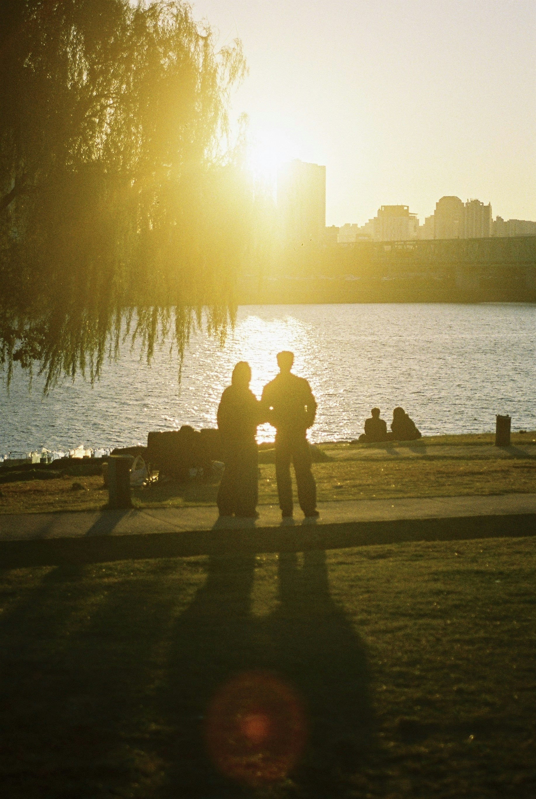Golden Silhouettes by the Riverside Sunset