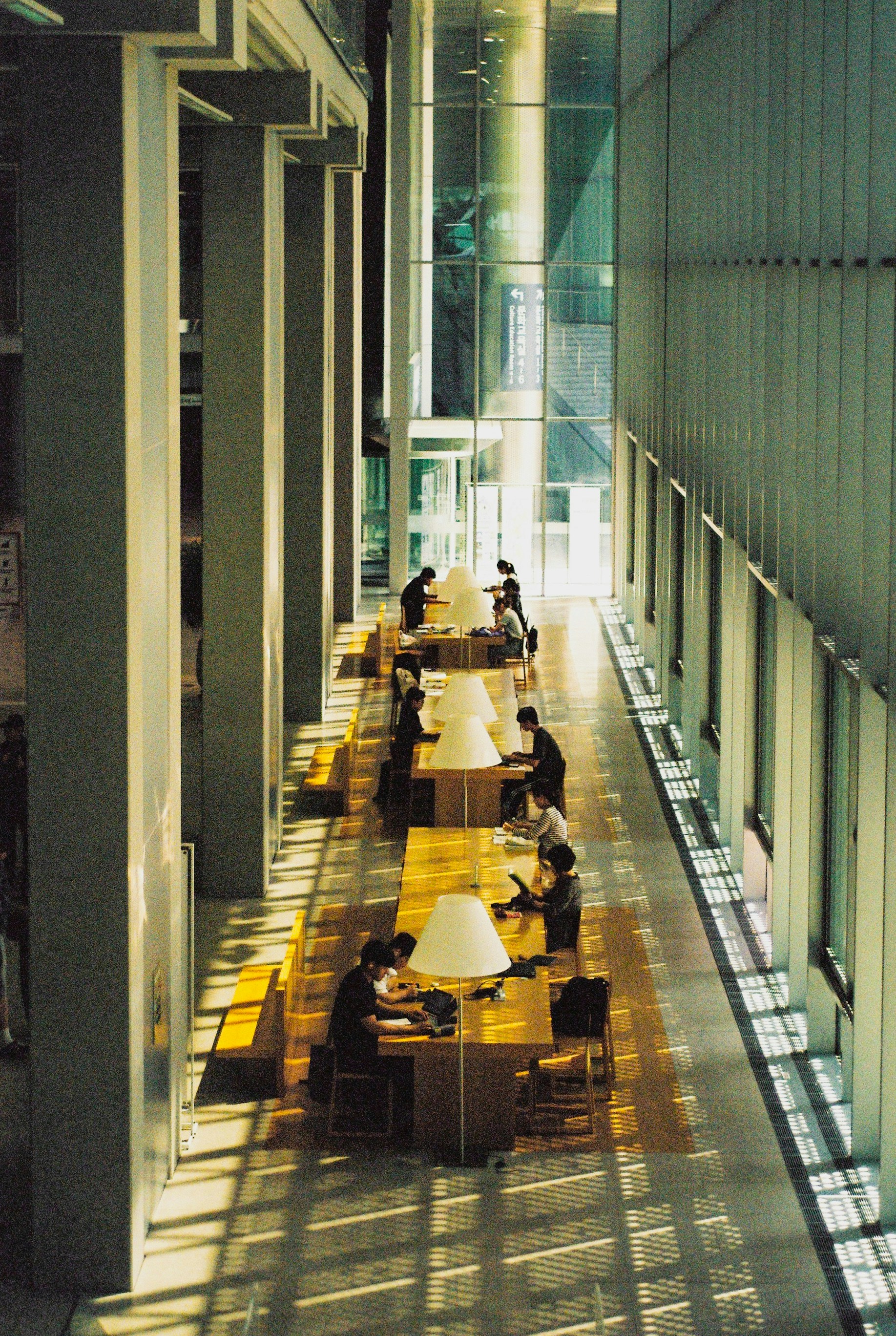 Sunlit study: a vertical gallery of focused silhouettes in a modern atrium