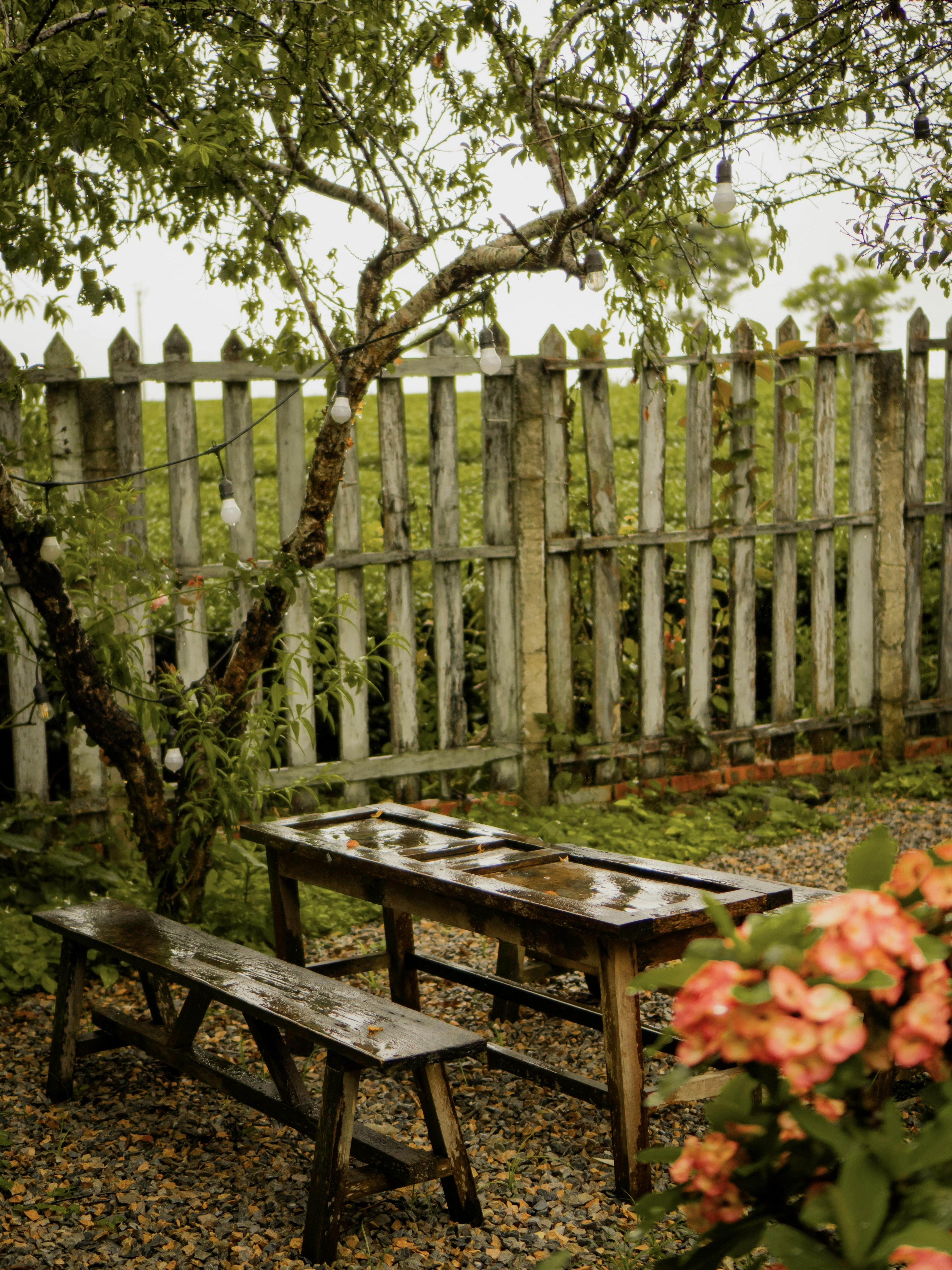 Rain-Kissed Picnic Table Beneath a Weathered Fence
