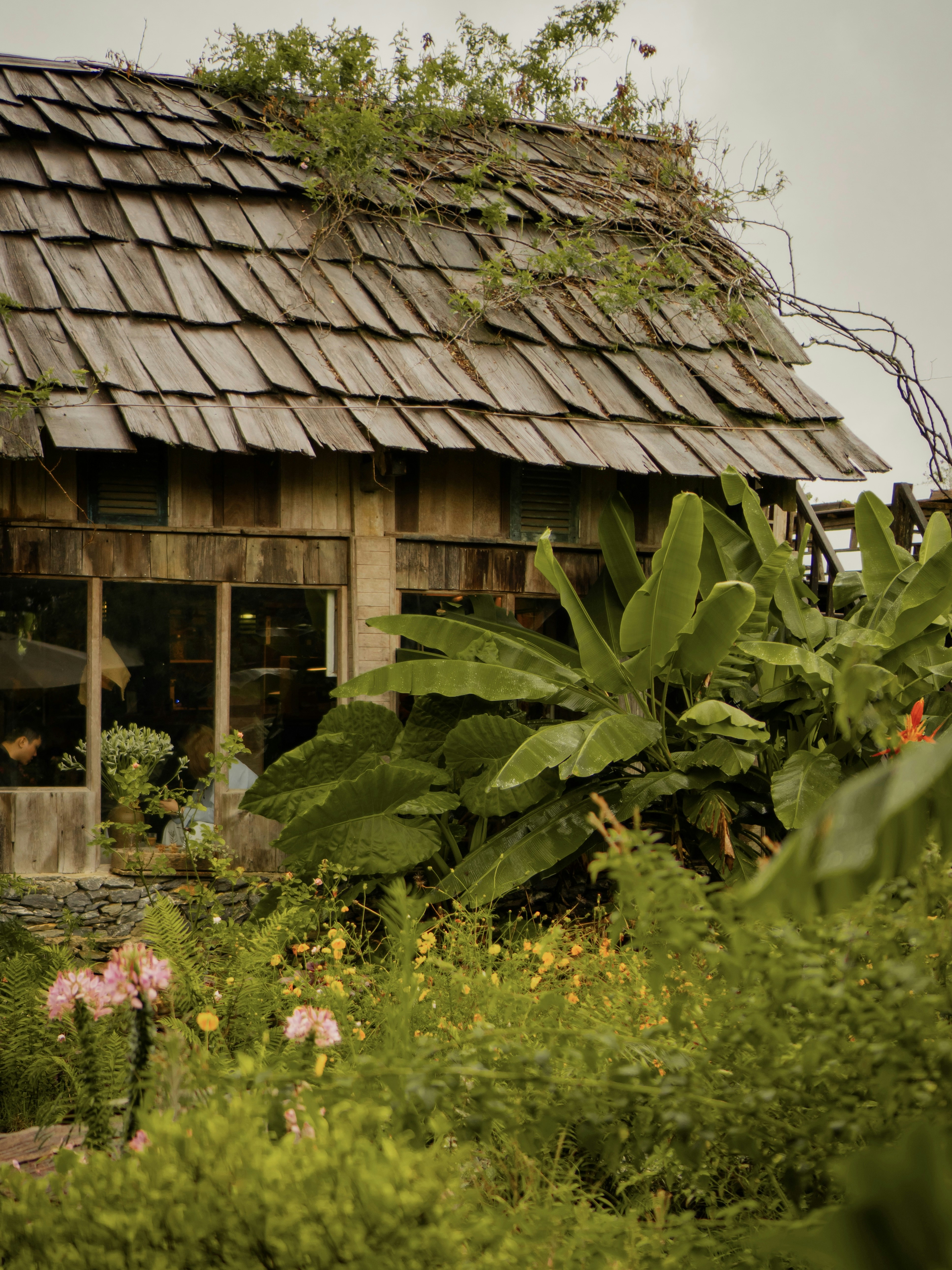Abandoned Cottage Overgrown with Tropical Garden