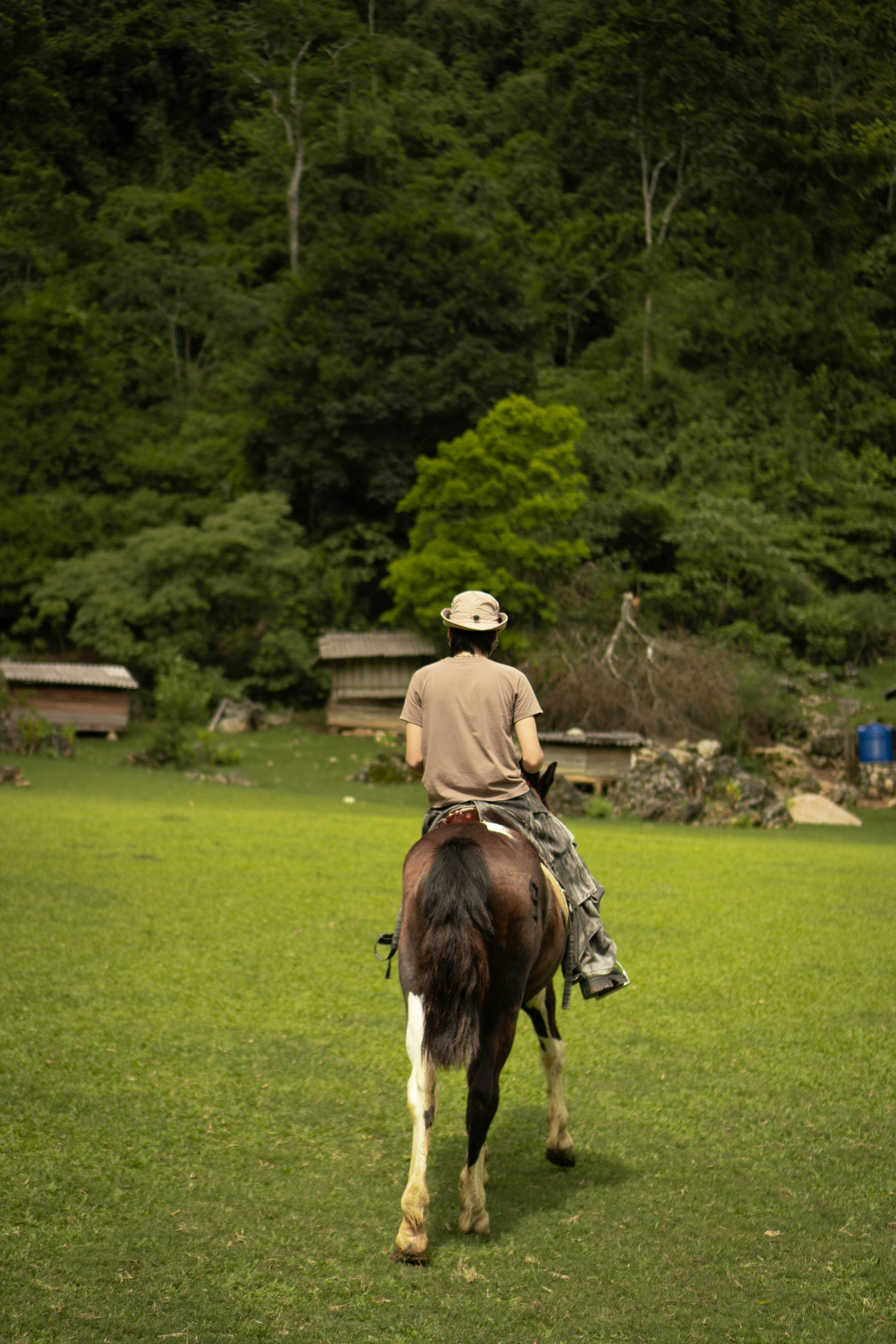 Rider Toward the Distant Orchard