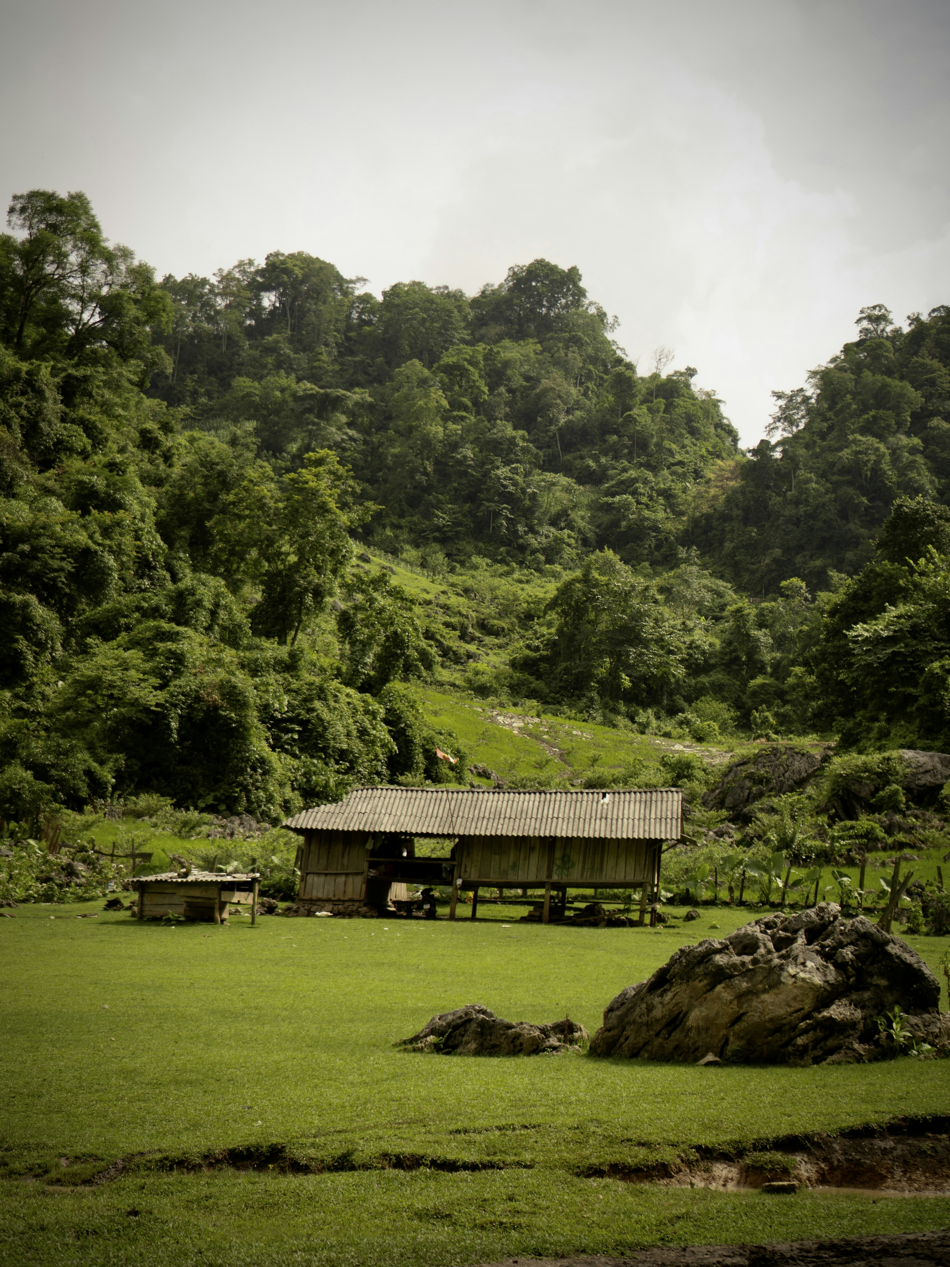 Lone Waterside Shelter Nestled in Emerald Valley