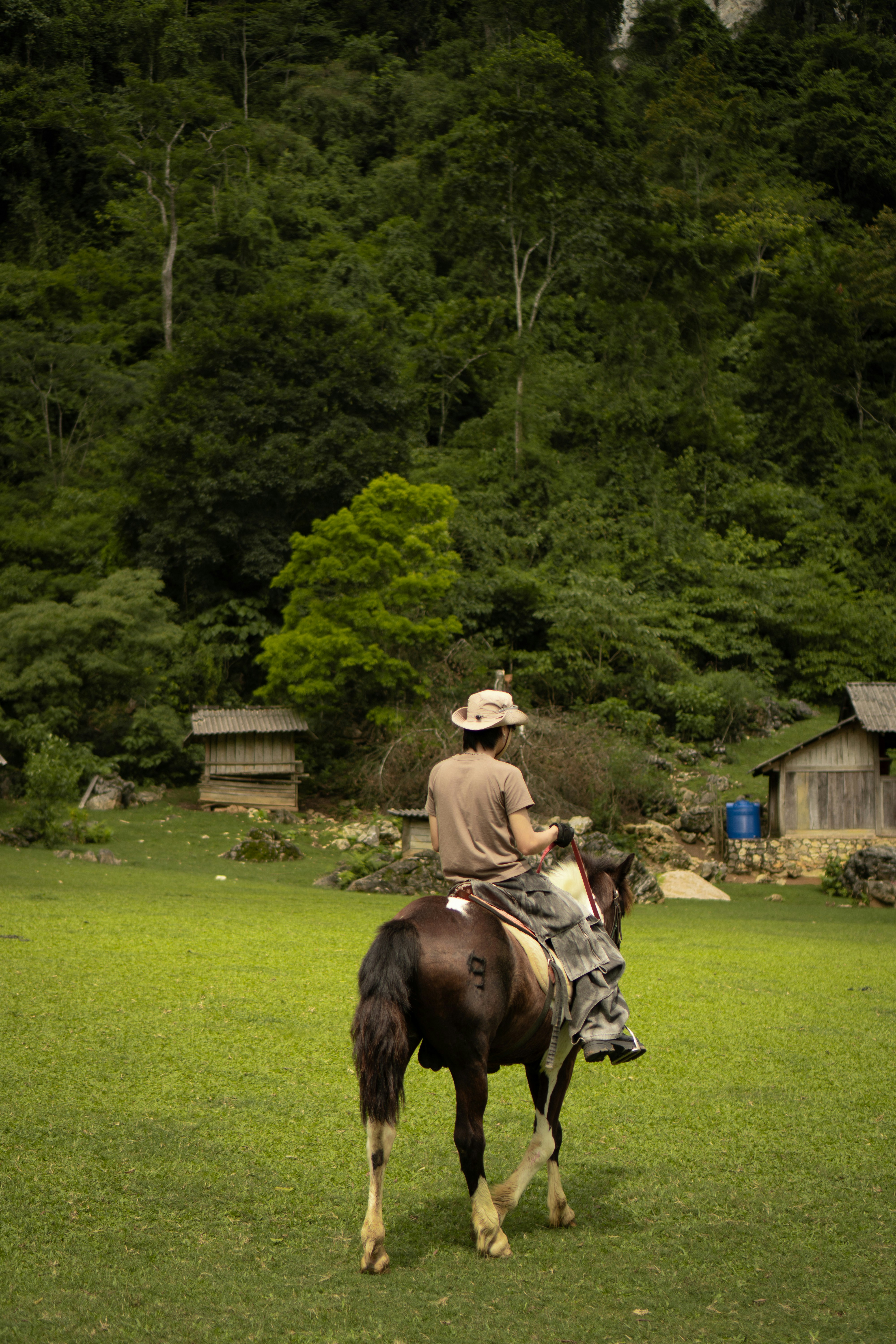 Rider and Horse Quietly Traversing a Verdant Frontier