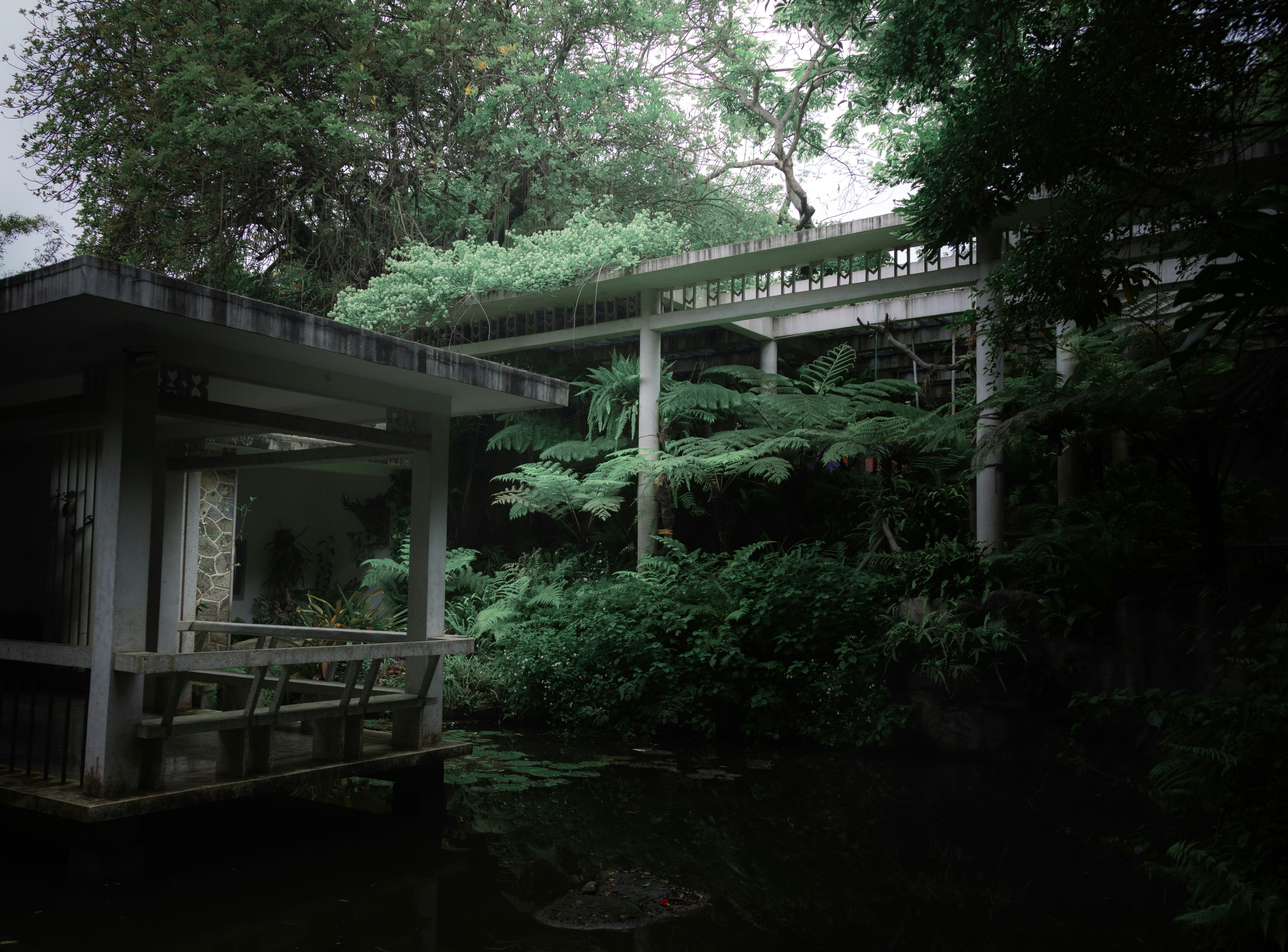 Overgrown Pavilion Beyond the Quiet Canal