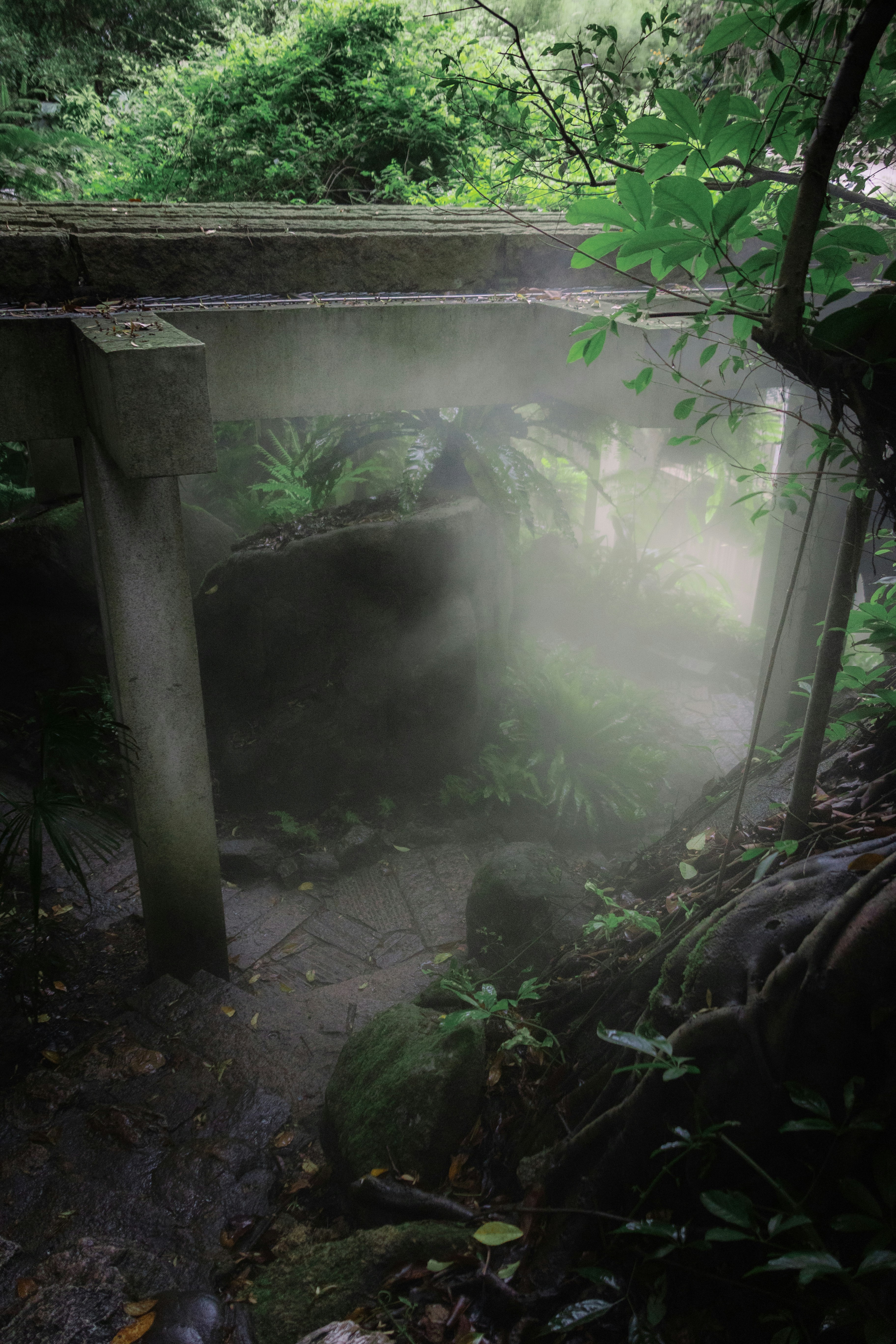 Mist over an Ancient Terrace