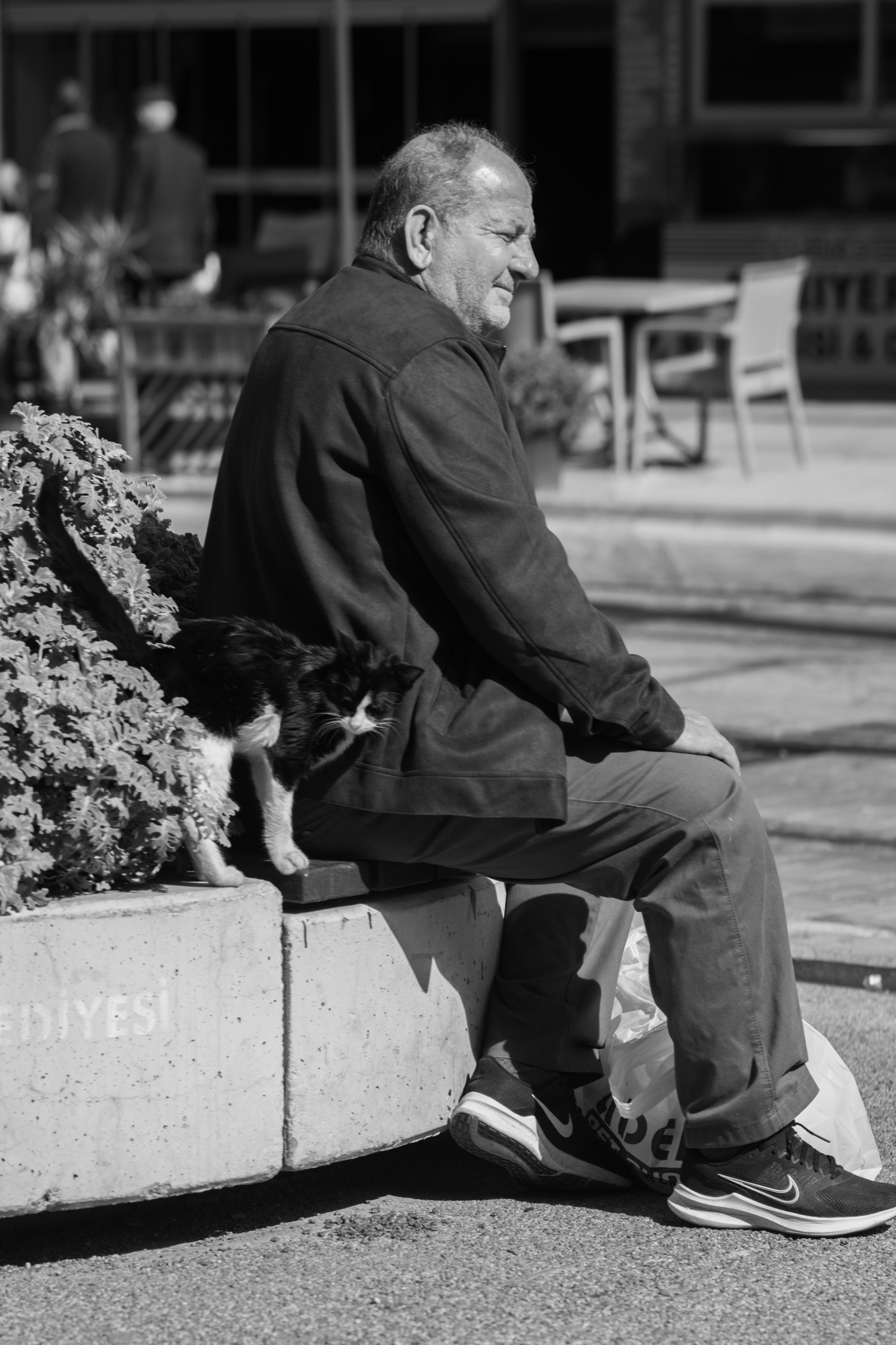 Quiet Moment on the Bench: A Man and His Cat in Soft Monochrome