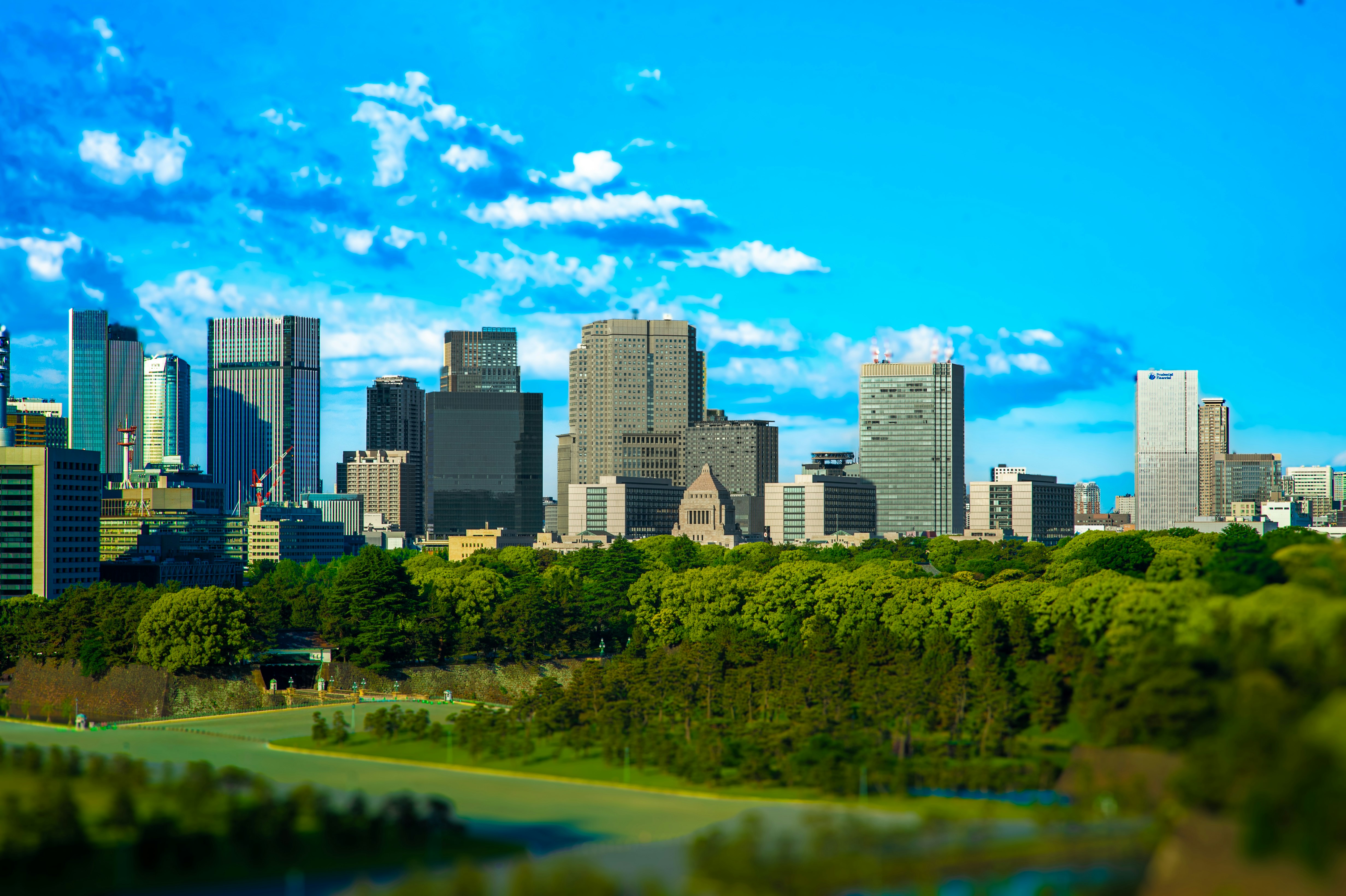 Cityscape in Focus: A Clear Skyline Above the Green Corridor