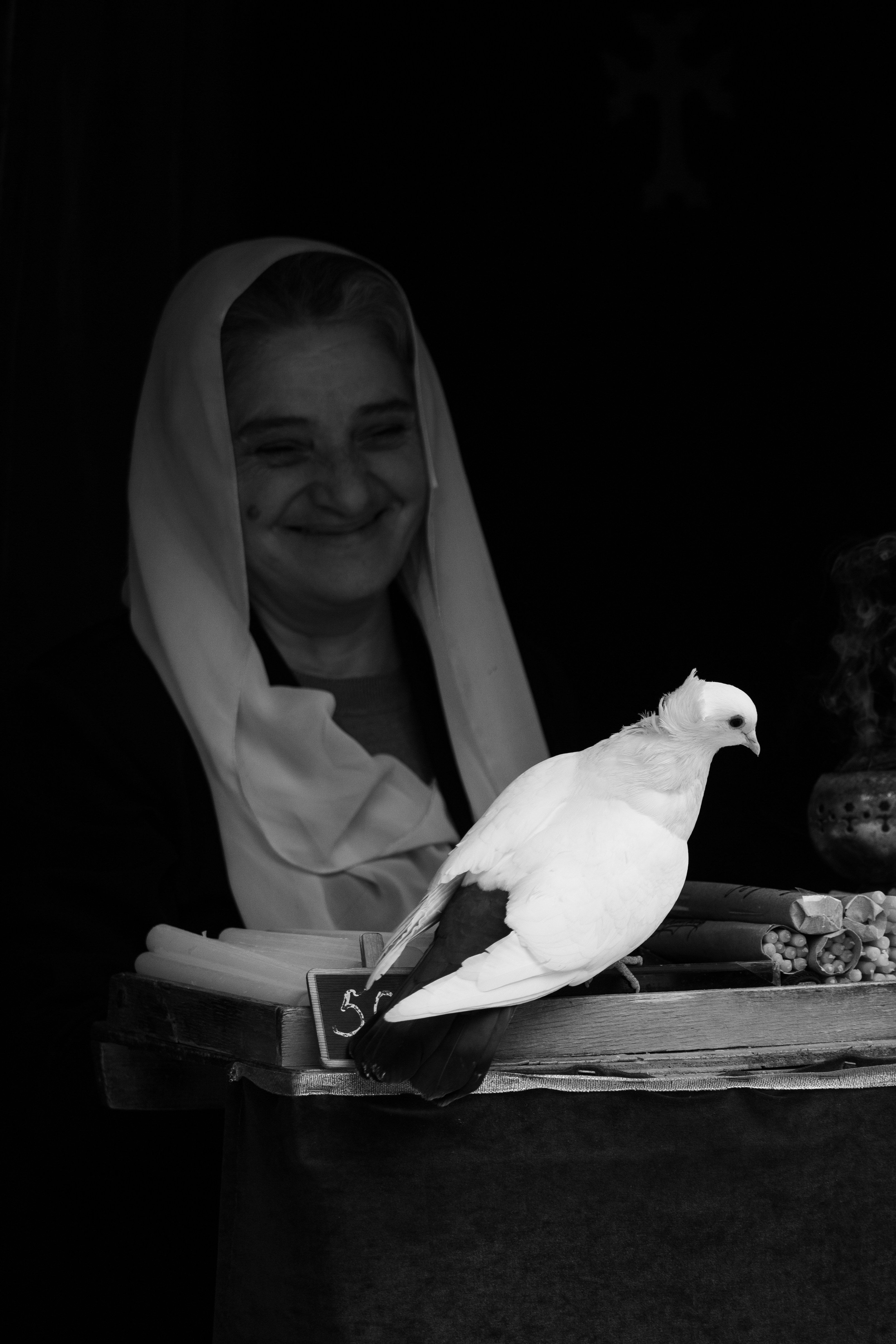 White Dove on a Shrine Tray: Quiet Moment in a Dark Gallery