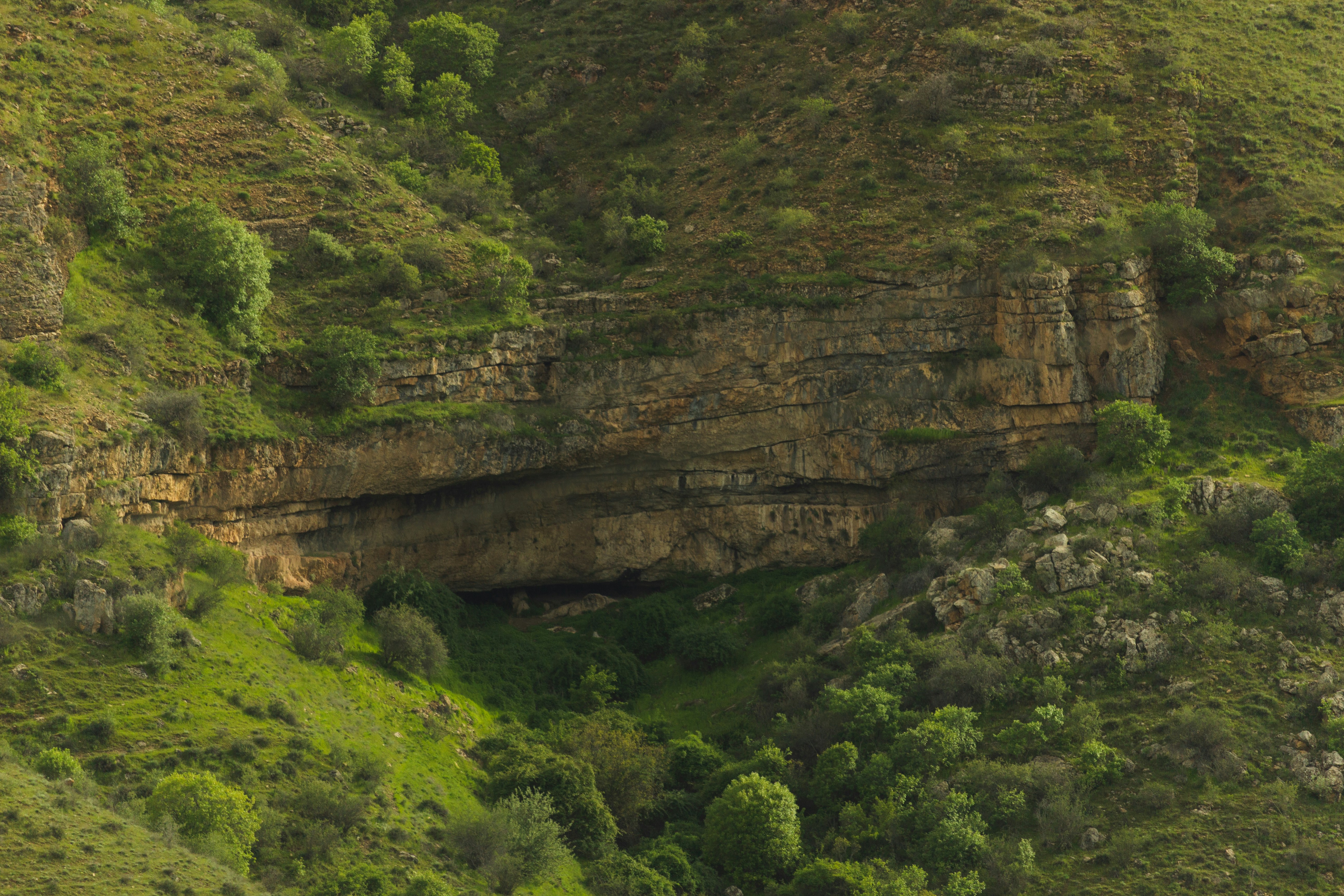 Verdant Cliffs above a Quiet Ravine