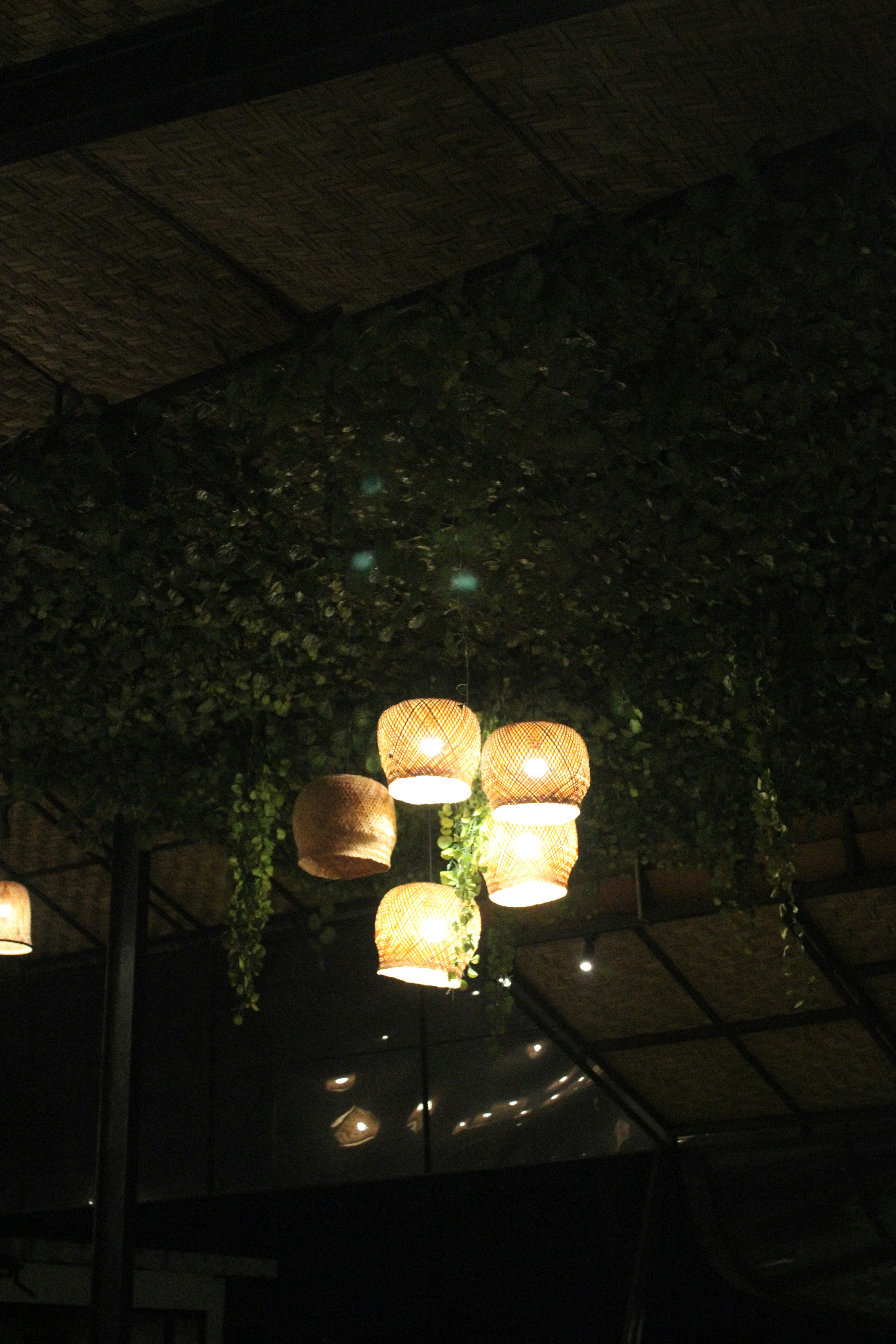Hanging Lanterns Glow Amid Dense Foliage in a Dim Interior