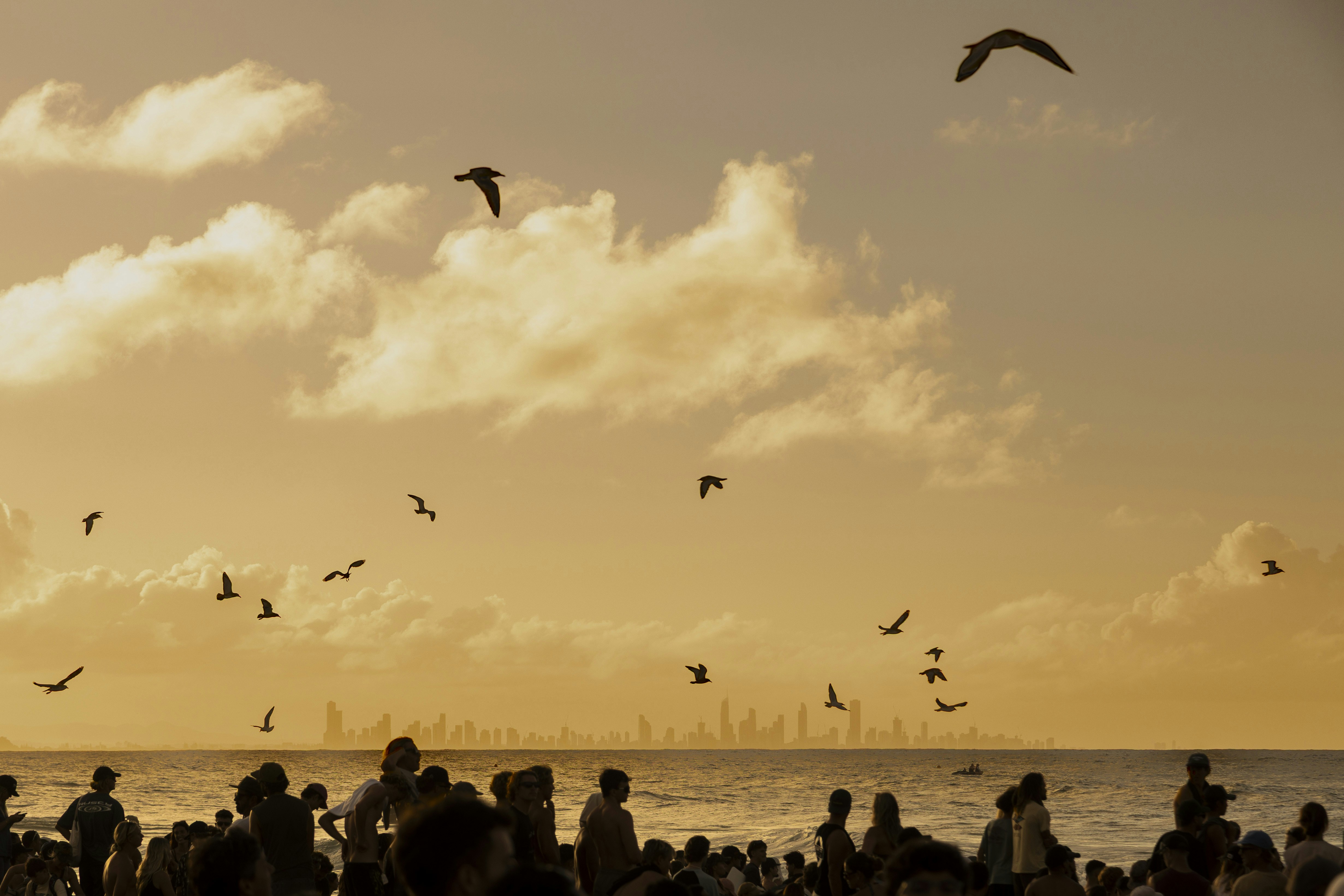 Sunset Flight over a Crowded Beach