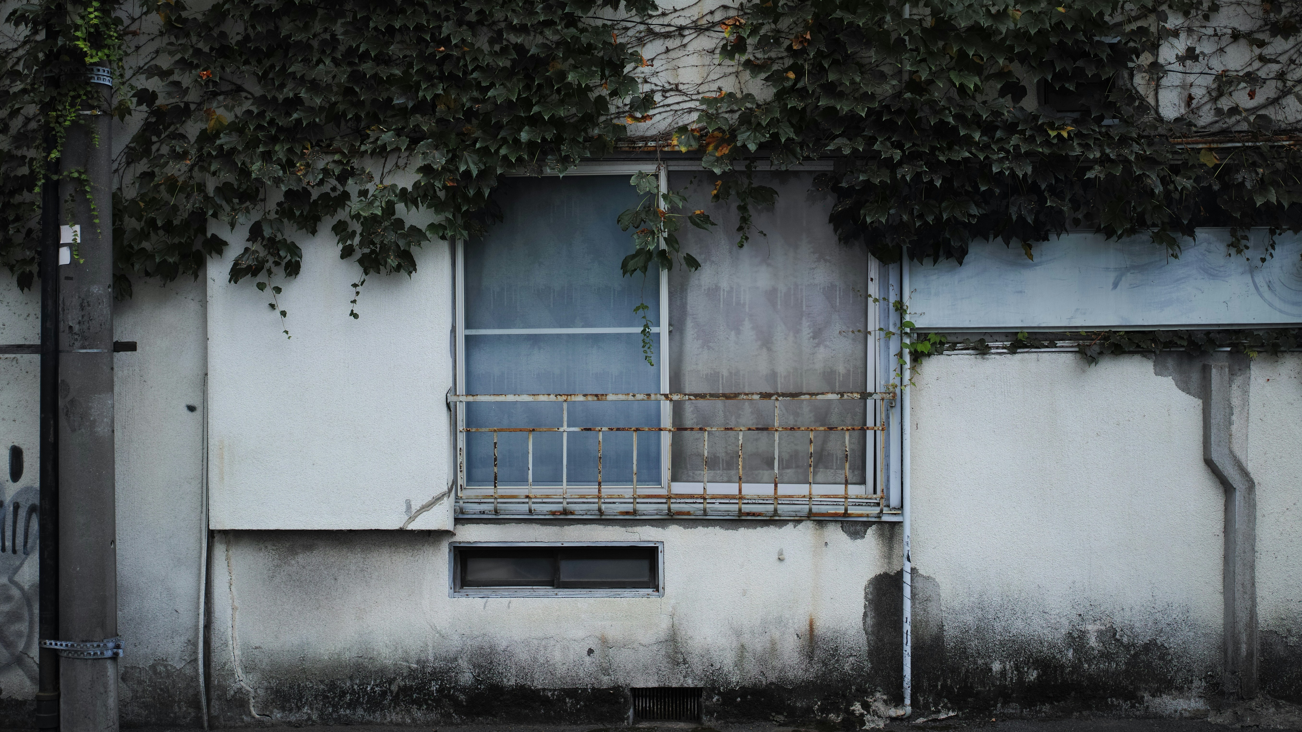 Weathered Urban Facade with Overgrown Ivy