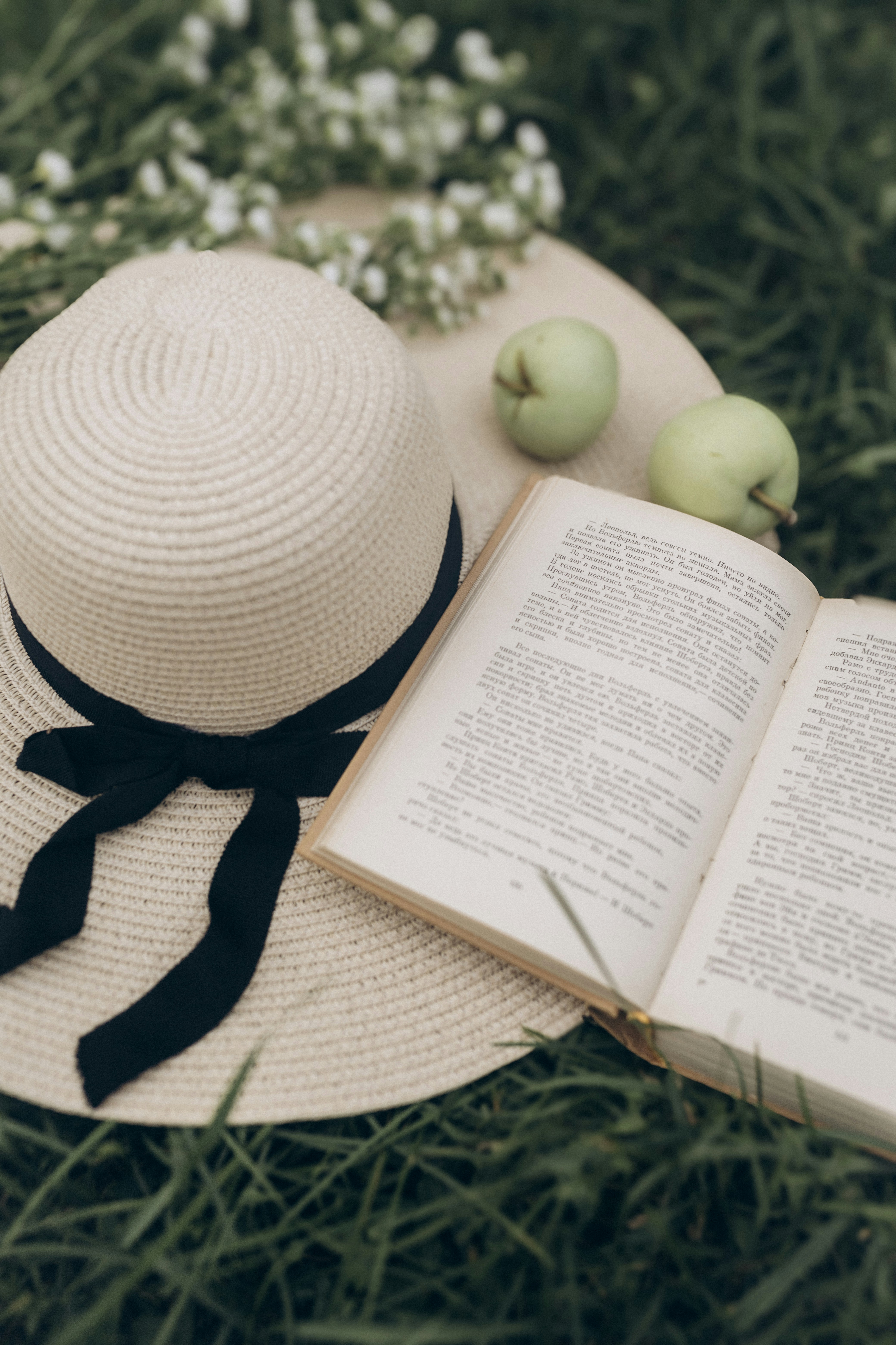 Whispered Lessons on Grass: A Hat, a Page, and Quiet Orchard