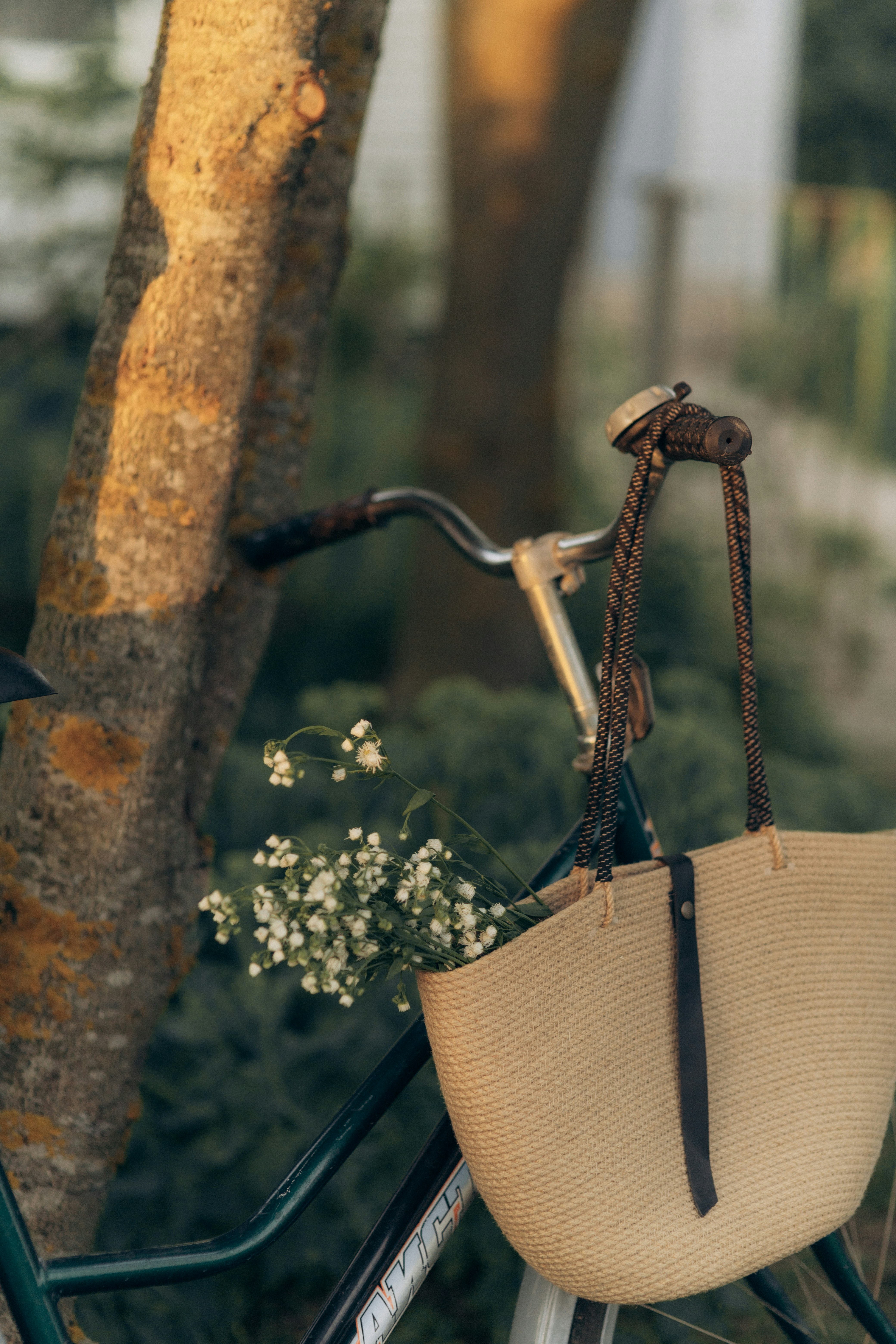 Wildflowers in a Basket: A Quiet Moment on a Bicycle