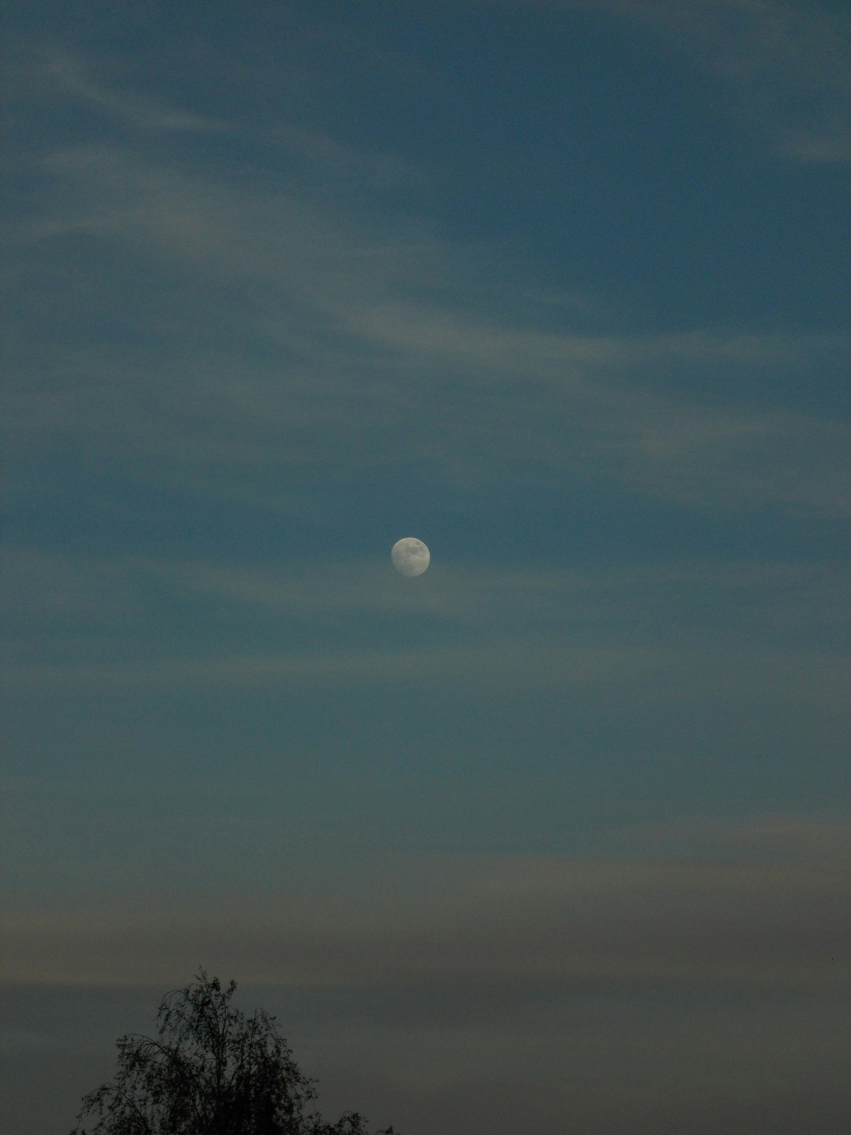 Moon Above the Quiet Horizon