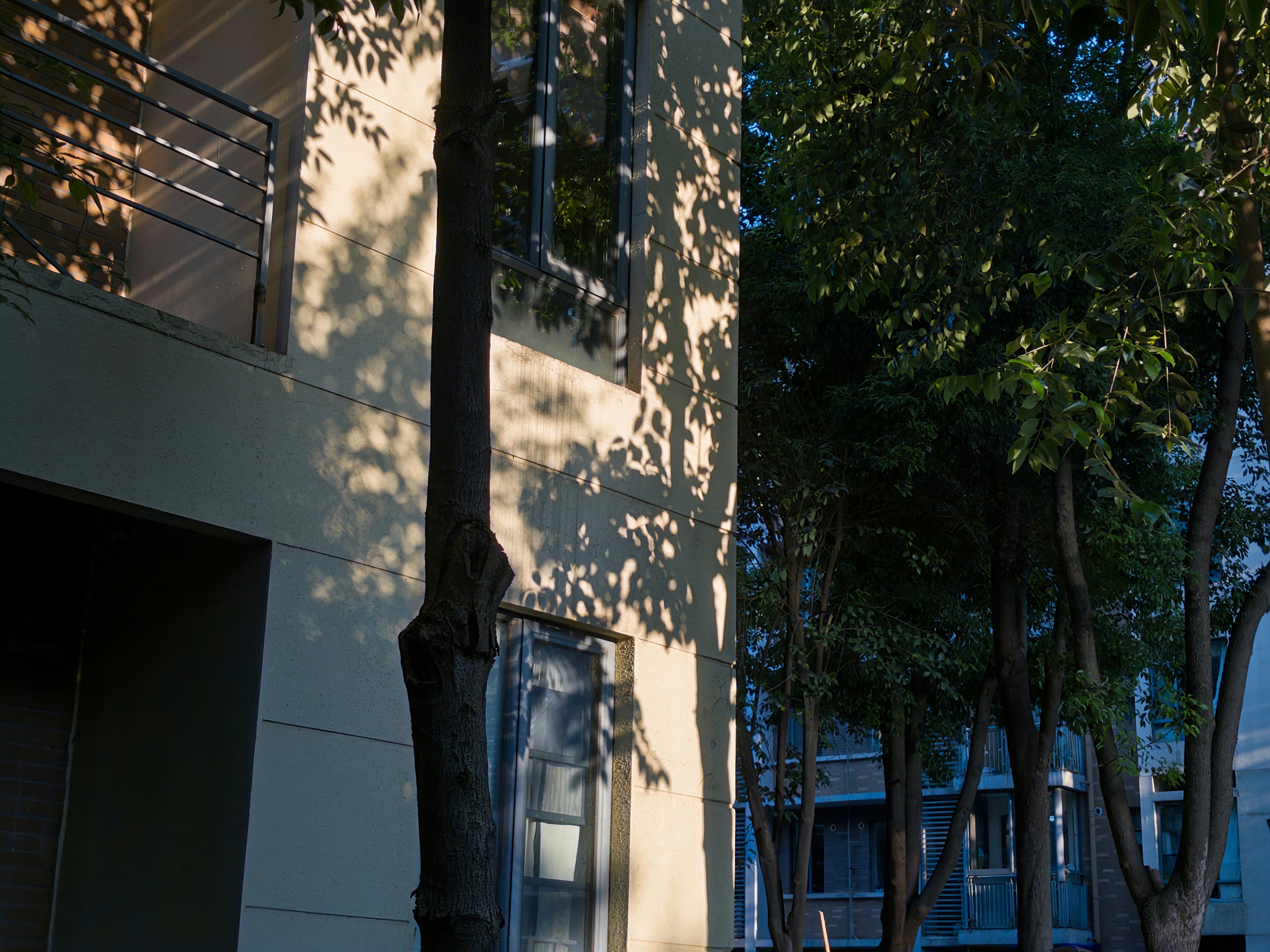 Shaded Corner of a Quiet Urban Facade