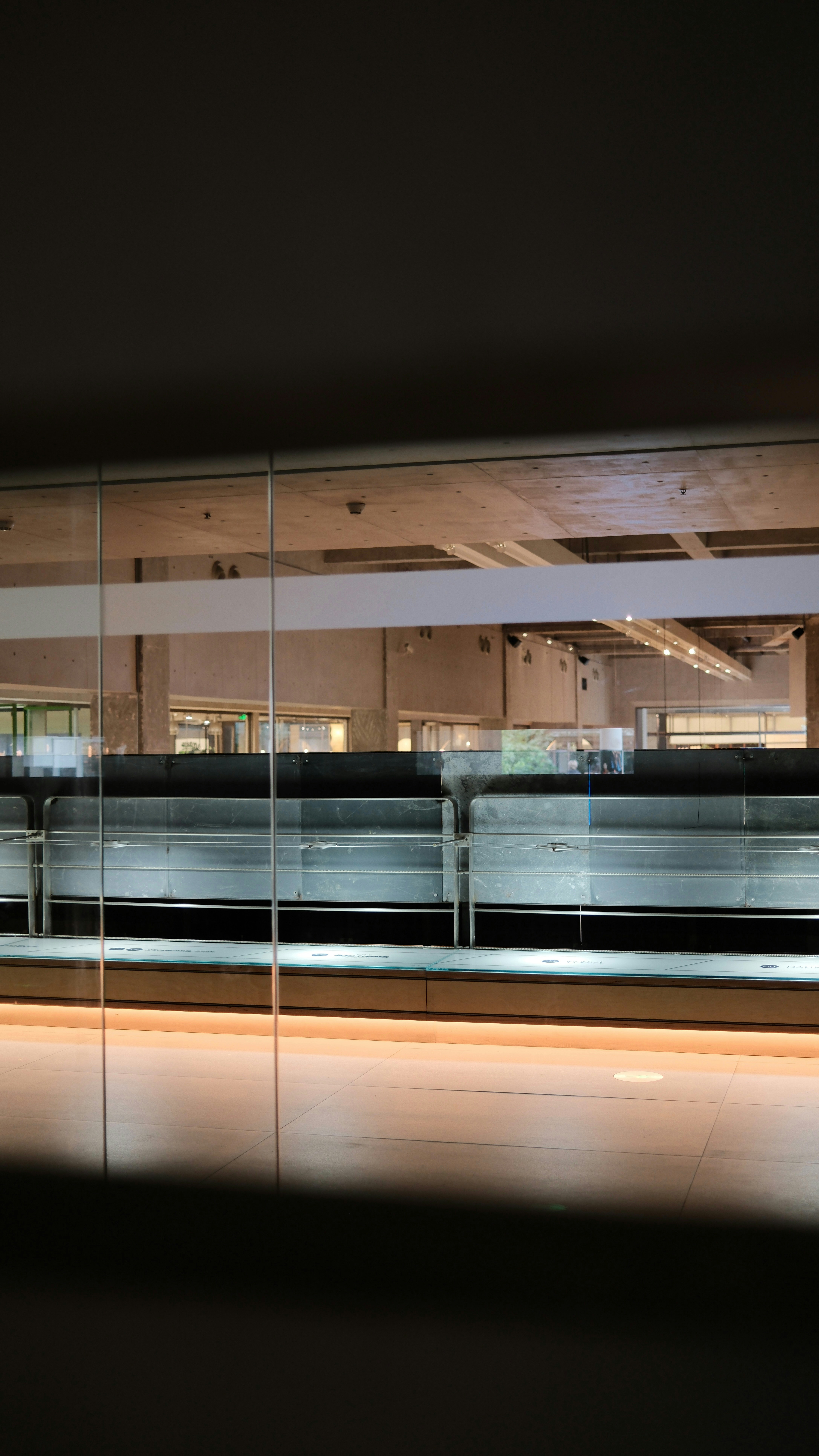 Glass Veil Over a Quiet Transit Interior