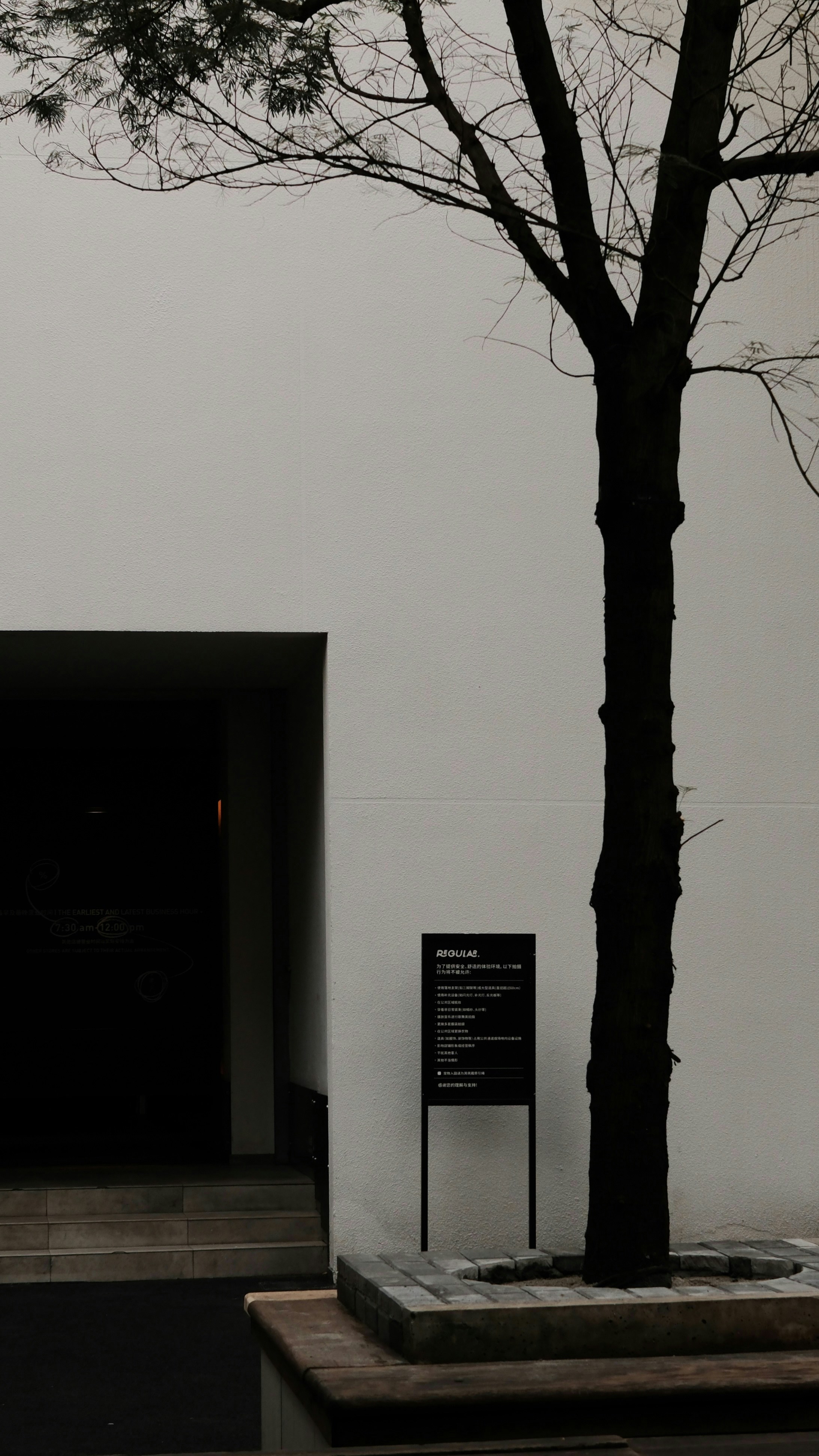 Vertical Tree Strikes a Modern Minimalist Facade