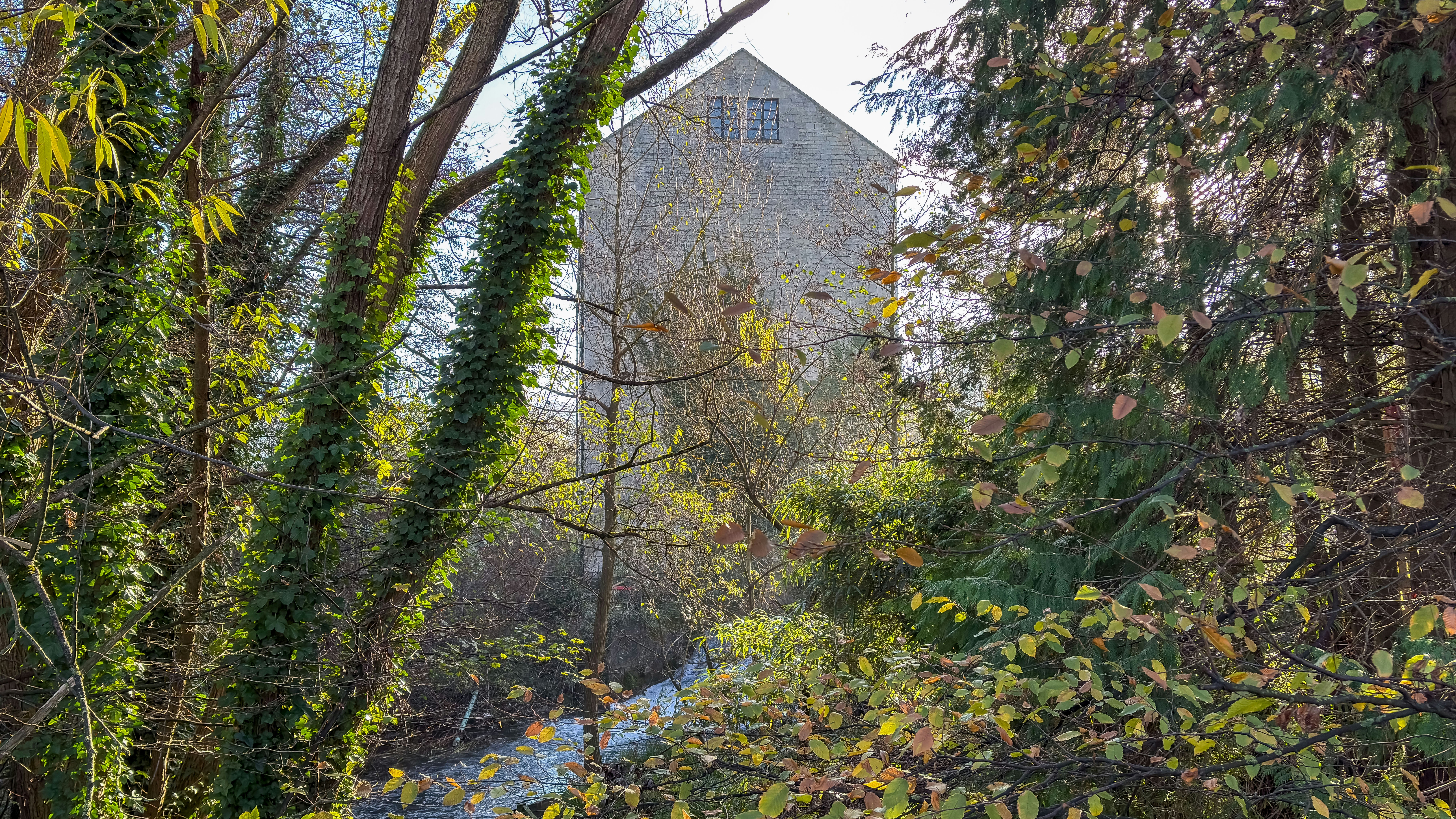 Morning overgrown lane toward a weathered warehouse