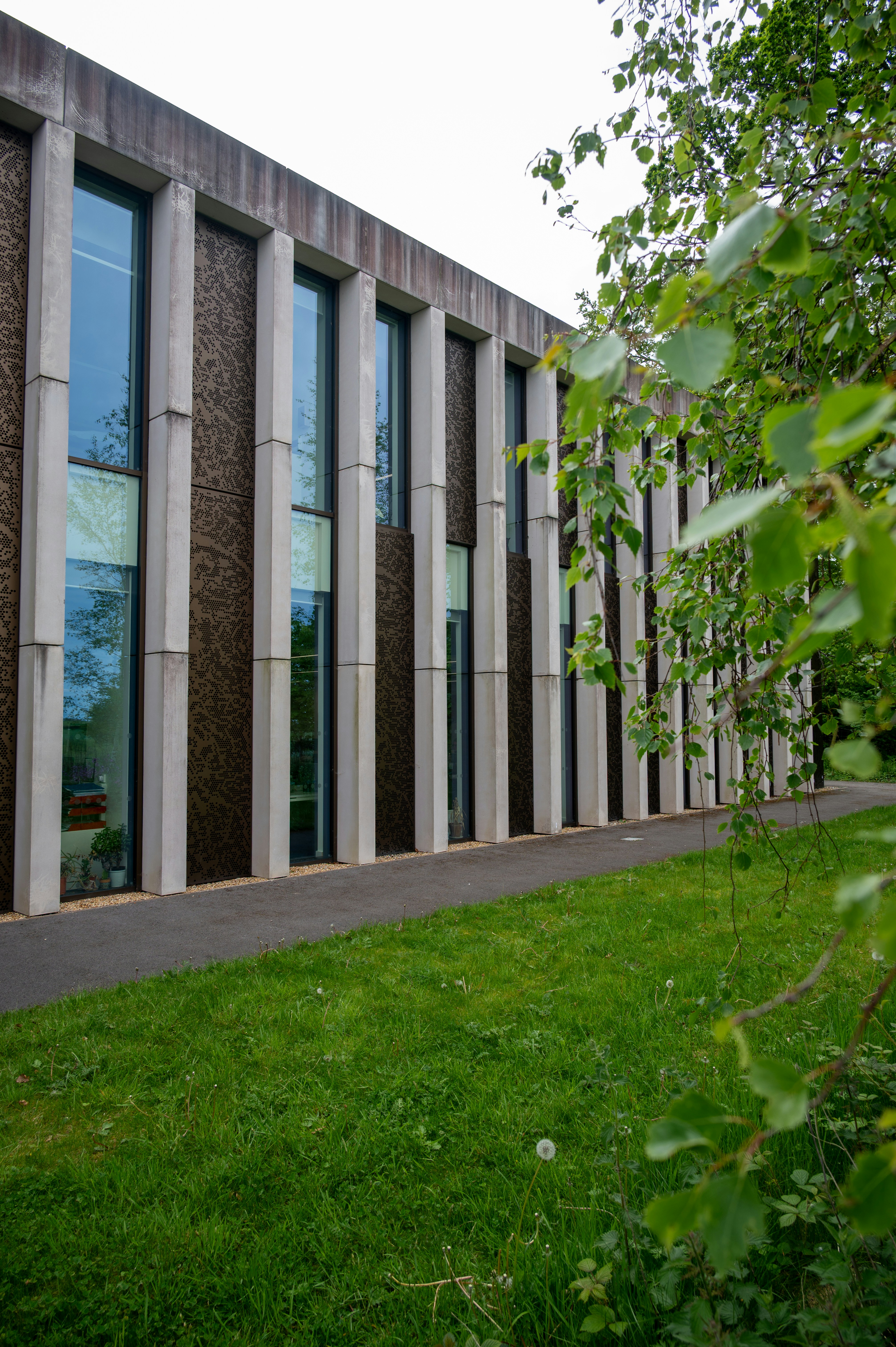Vertical Columns, Verdant Fringe: A Modernist Facade Framed by Greenery