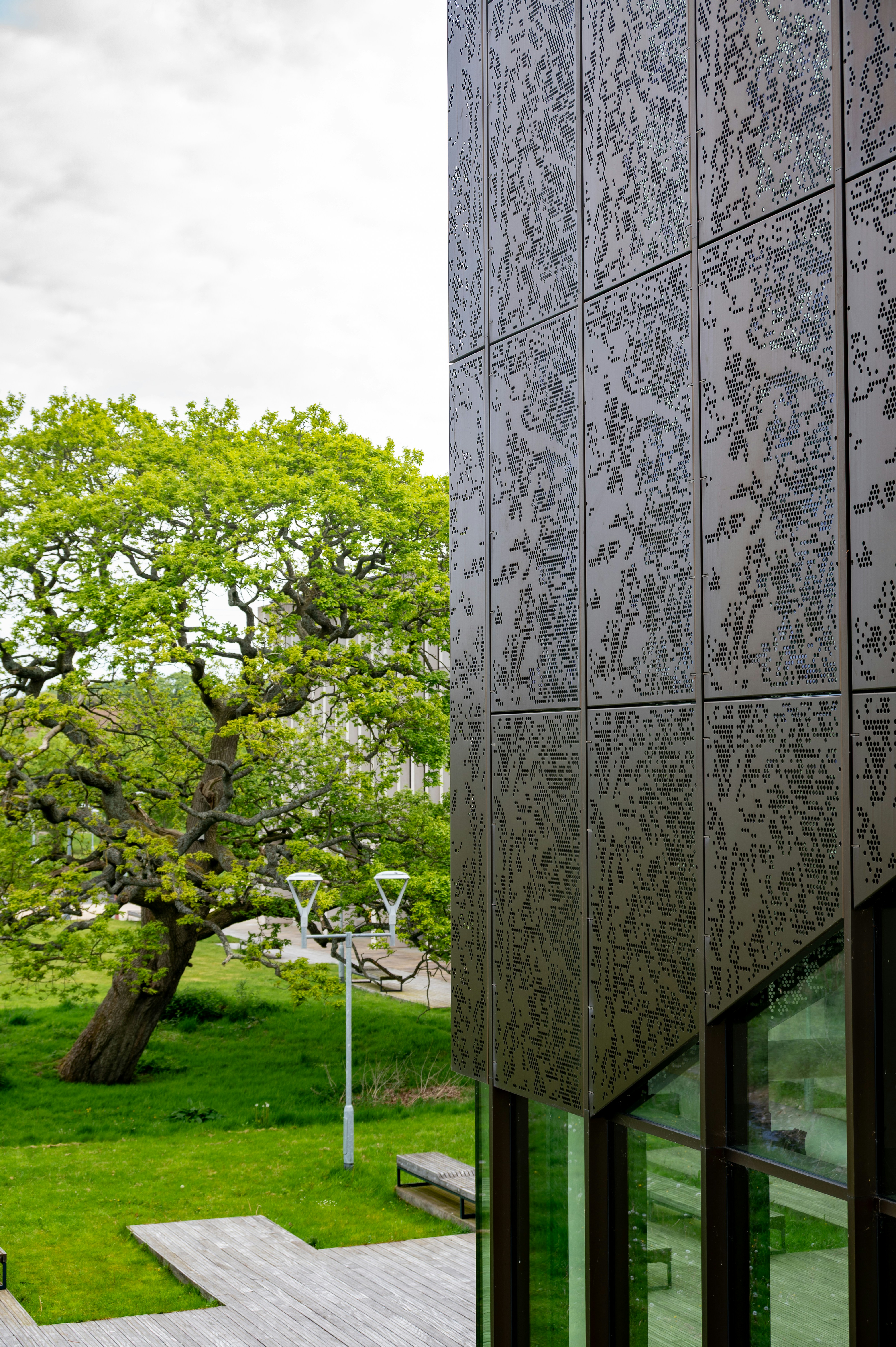 Grey Facade, Green Courtyard: A Modern Contrast