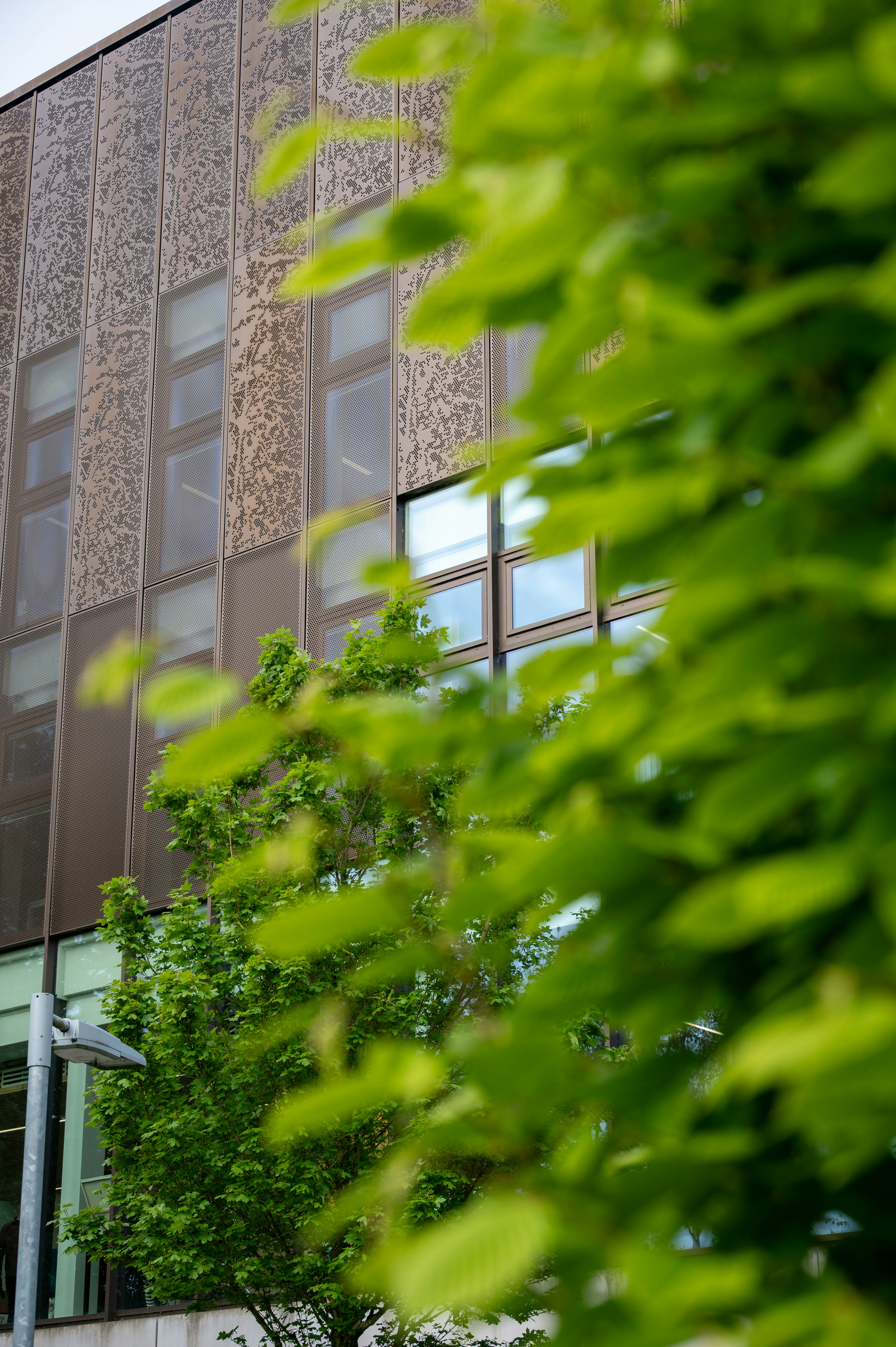 Urban Facade in Green Veil
