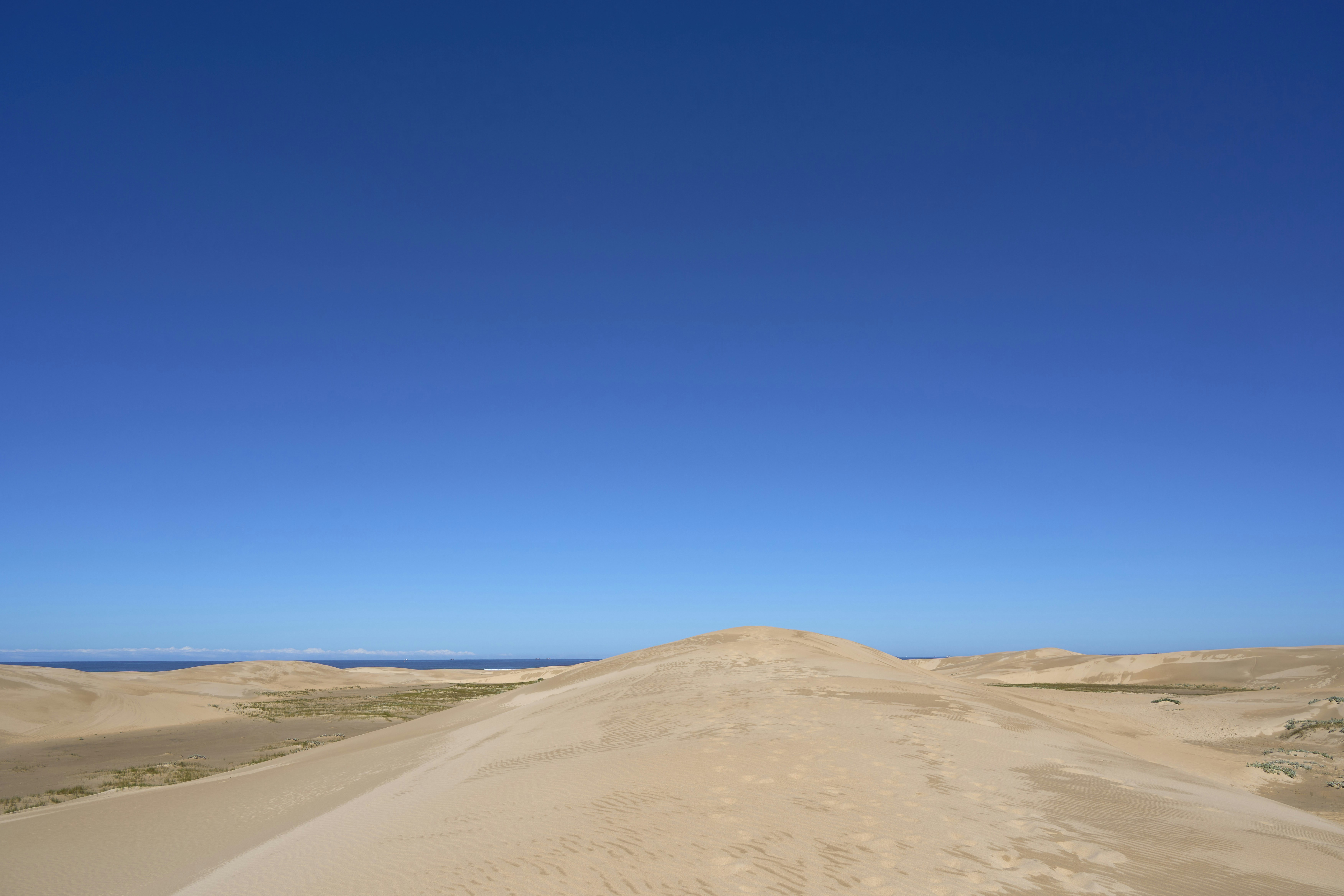 Dune Crest Under a Basin of Blue