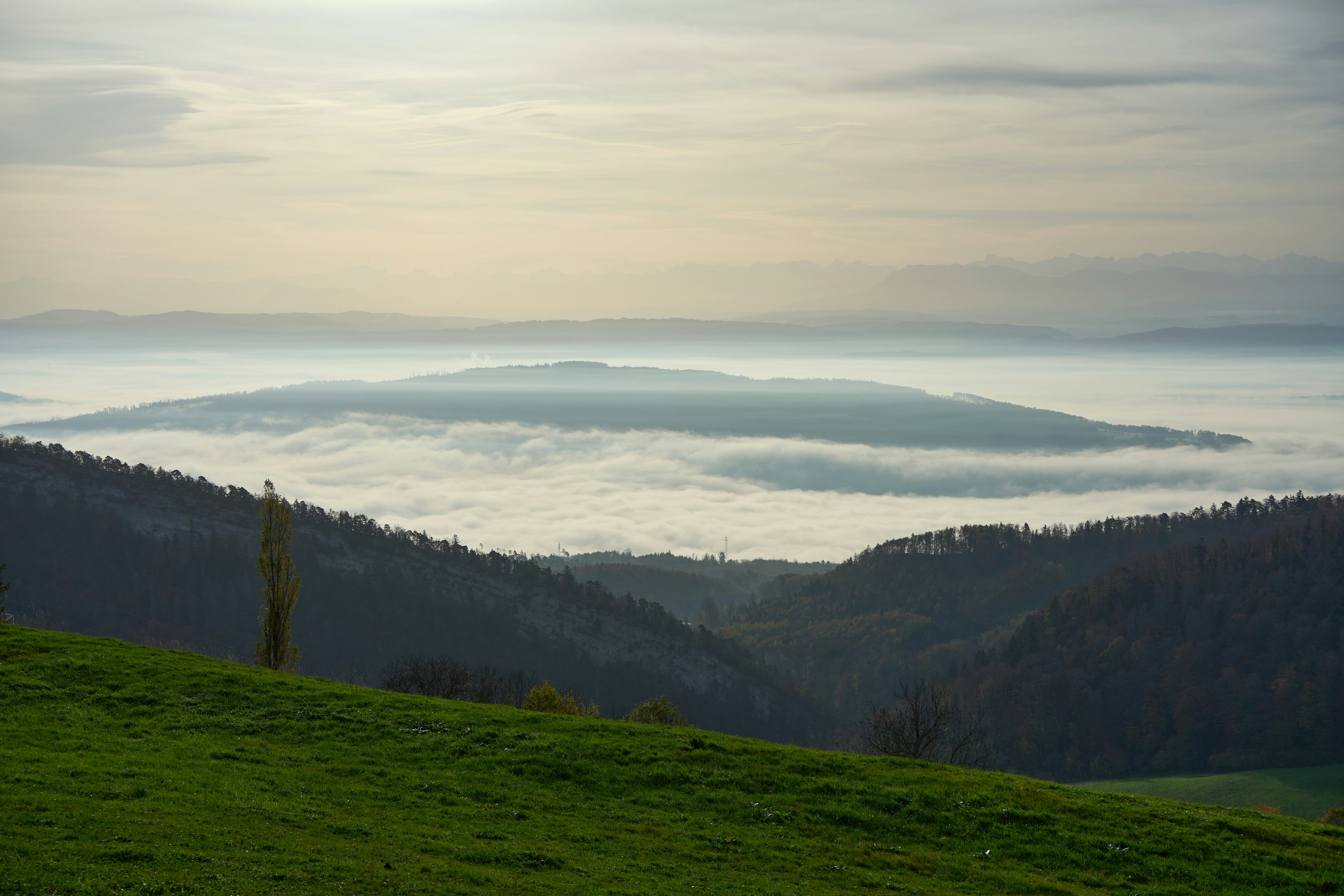 Valley Mist Over rolling Hills at Dawn