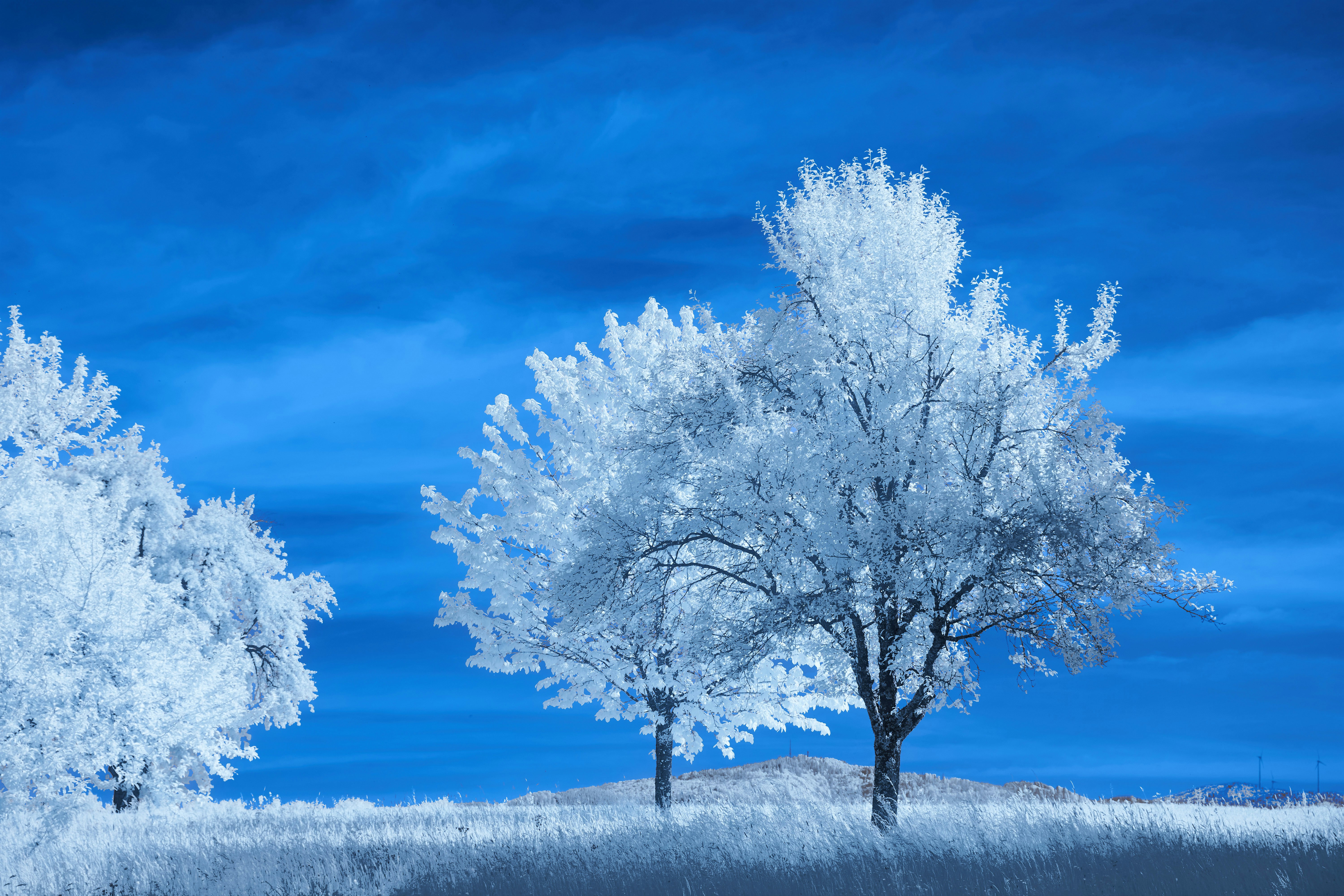 Icy Sentinel under a Cerulean Sky