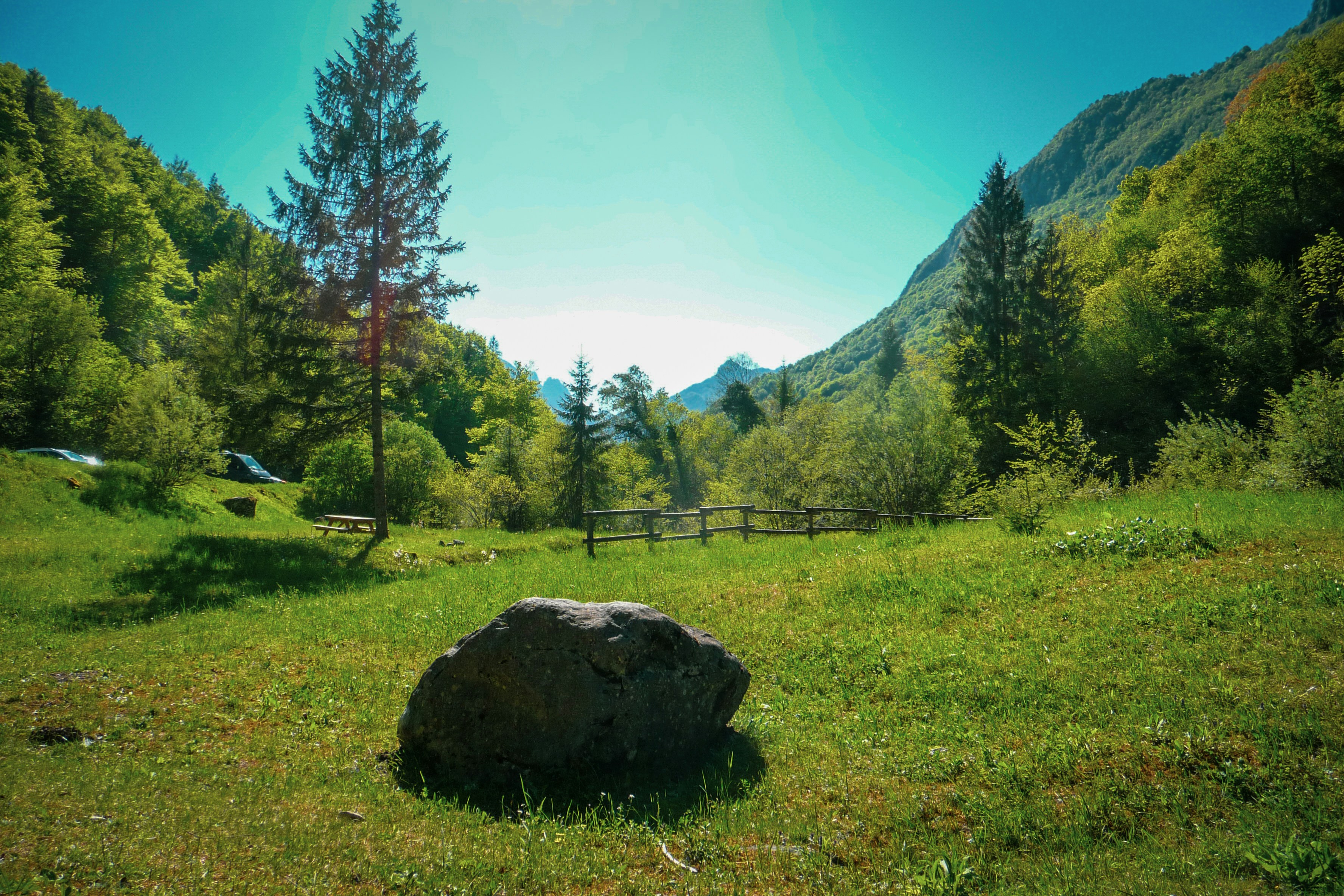 Sunlit Meadow Overlook with Central Boulder and Distant Fence