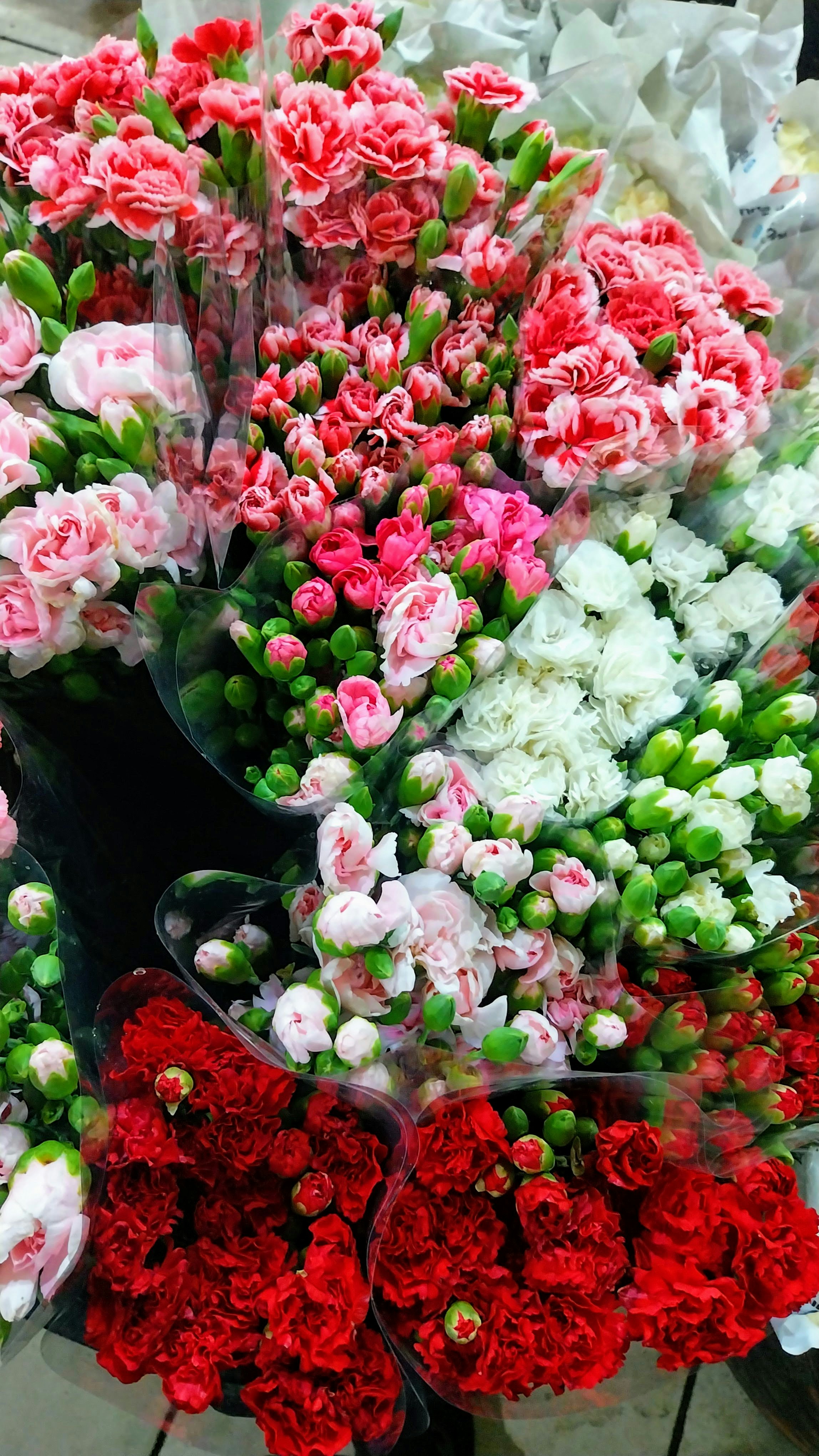 Bouquet Mosaic: Pink, White, and Crimson Carnations in a Turbulent Bloom