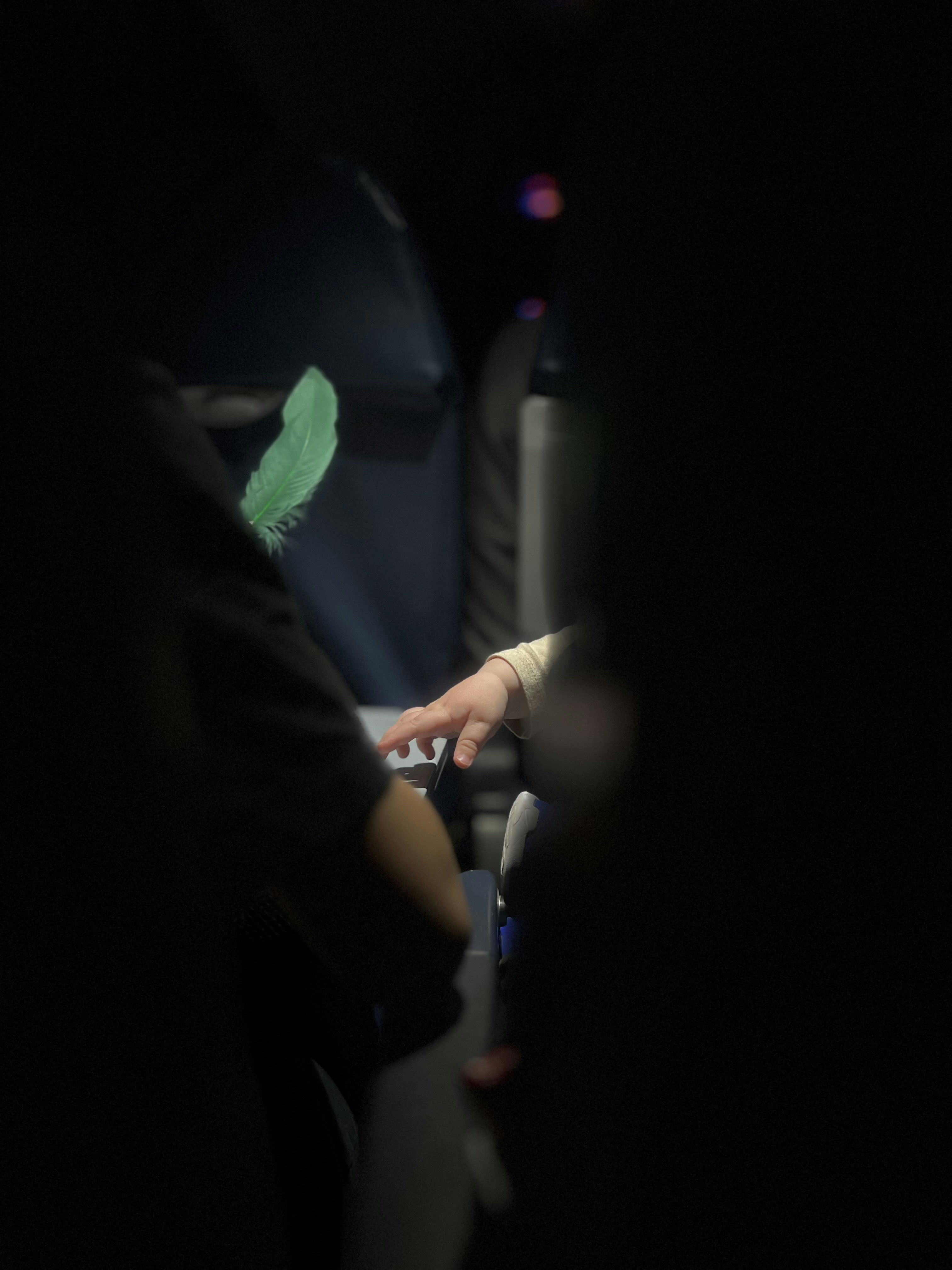 A Quiet Moment in the Shadows: The Hand and Faded Green Leaf