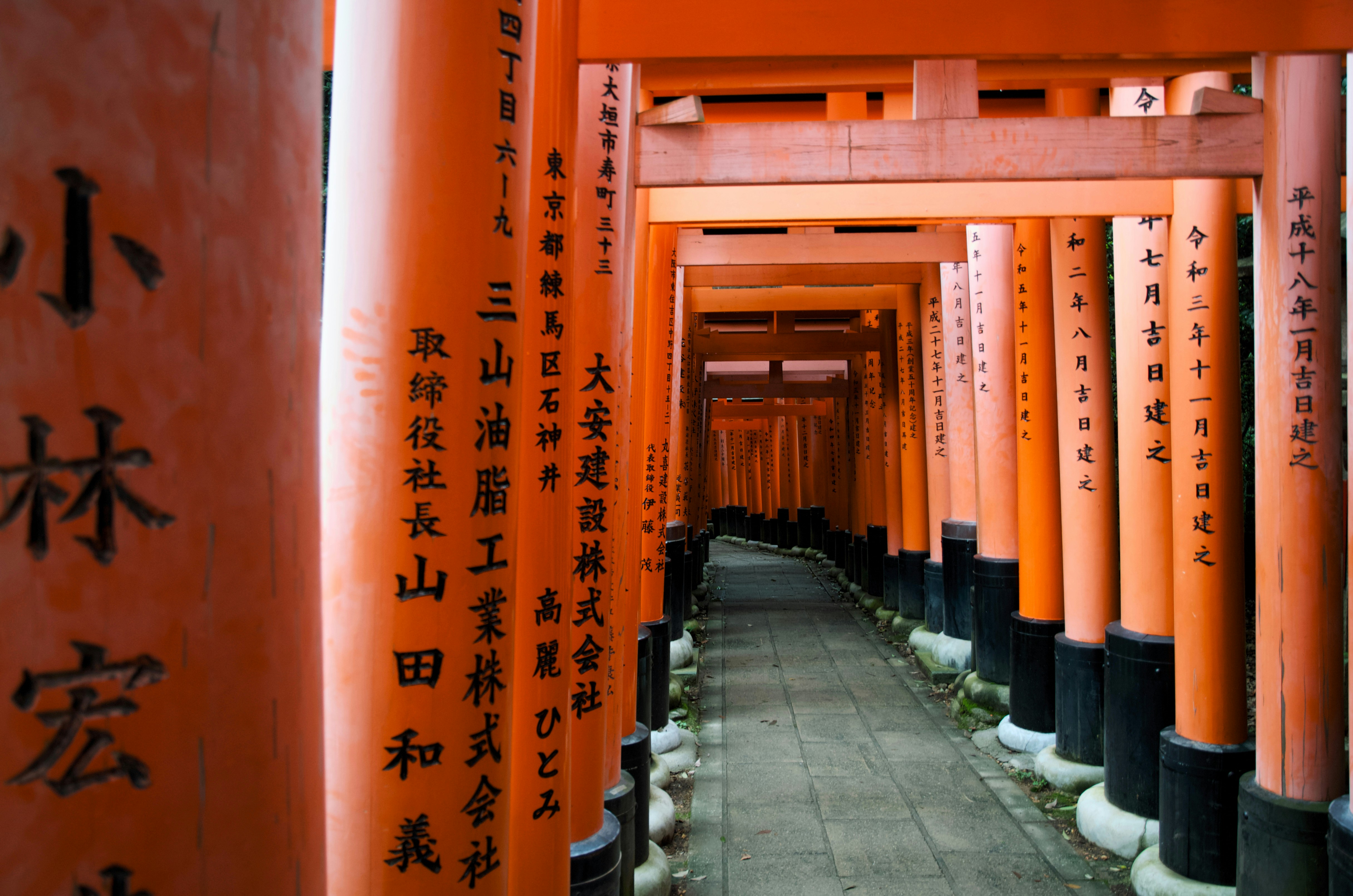 Tunnel of Torii: A Red Corridor of Wishes