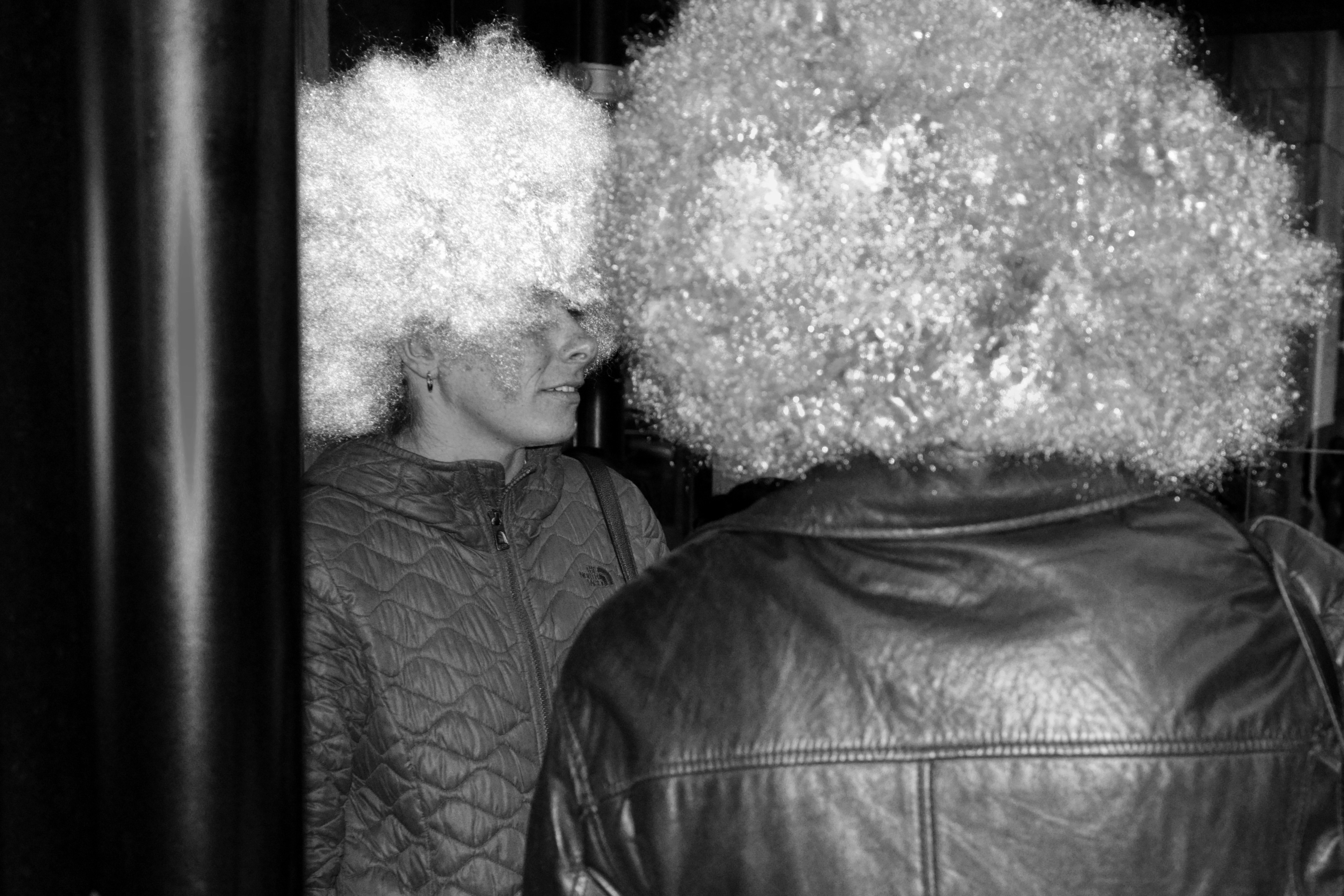 Two Heads in Velvet Night: Echoes of an Encounter