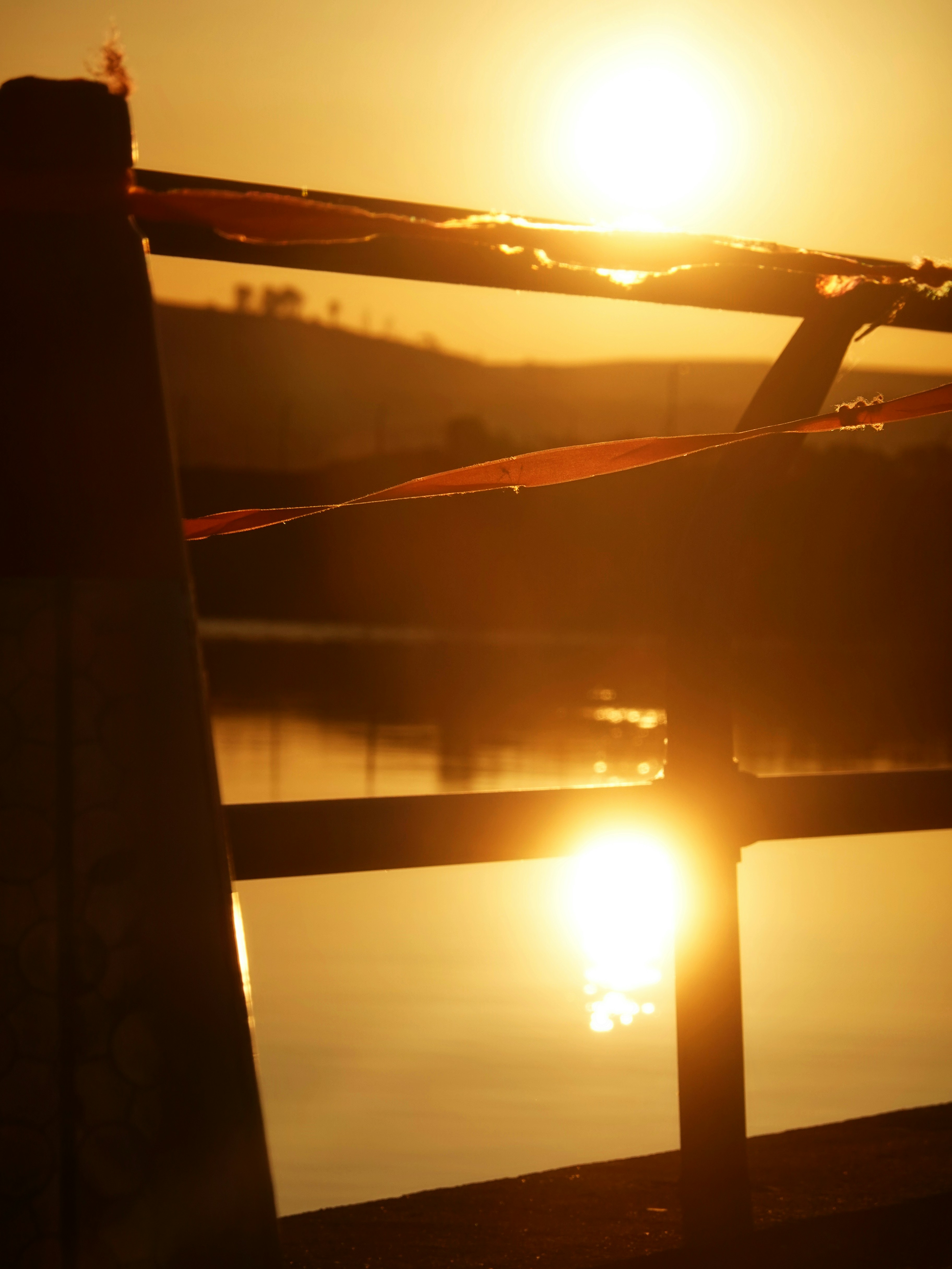 Golden Railings at Dusk