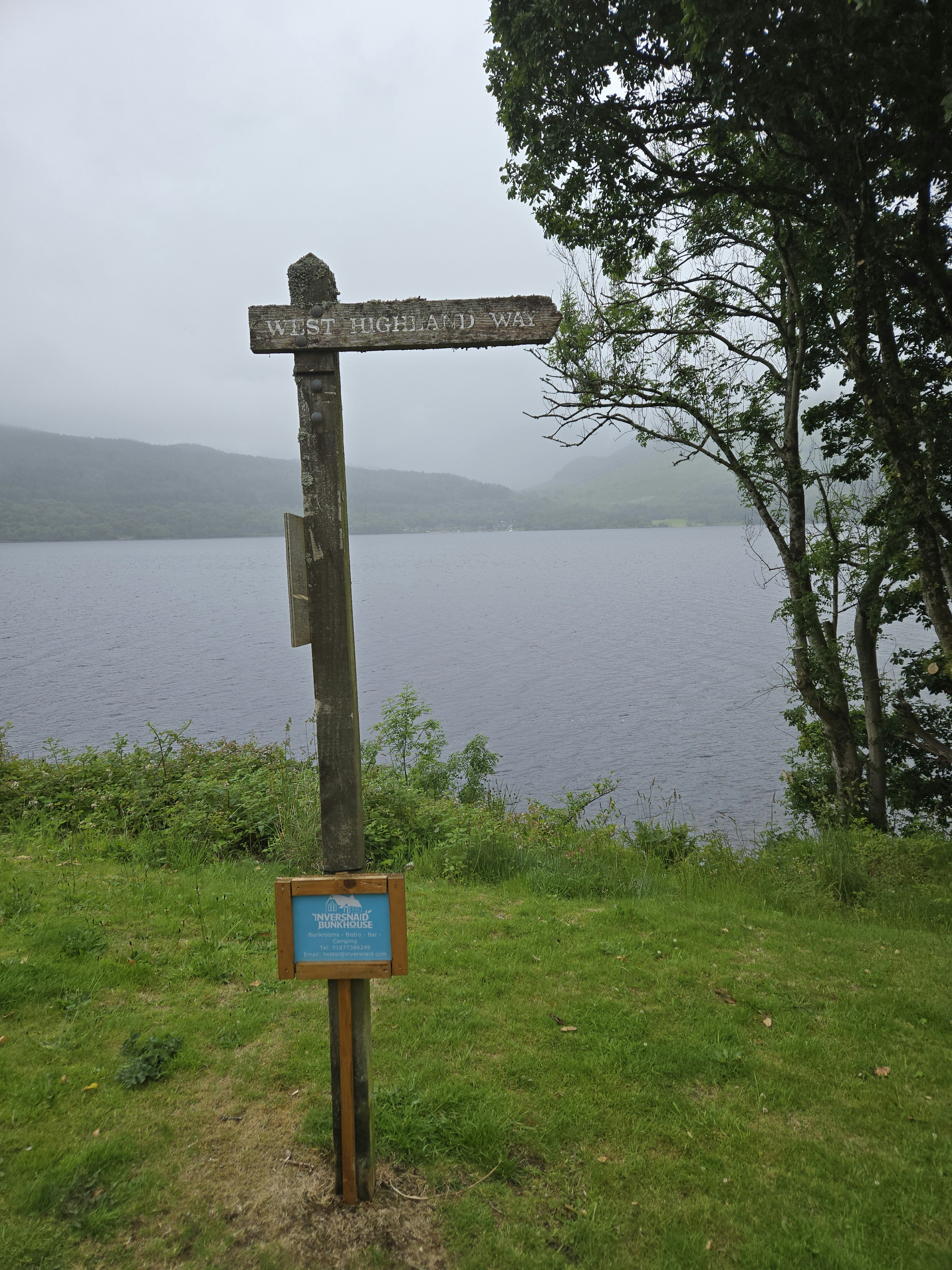 Trail Marker by a Misty Lake
