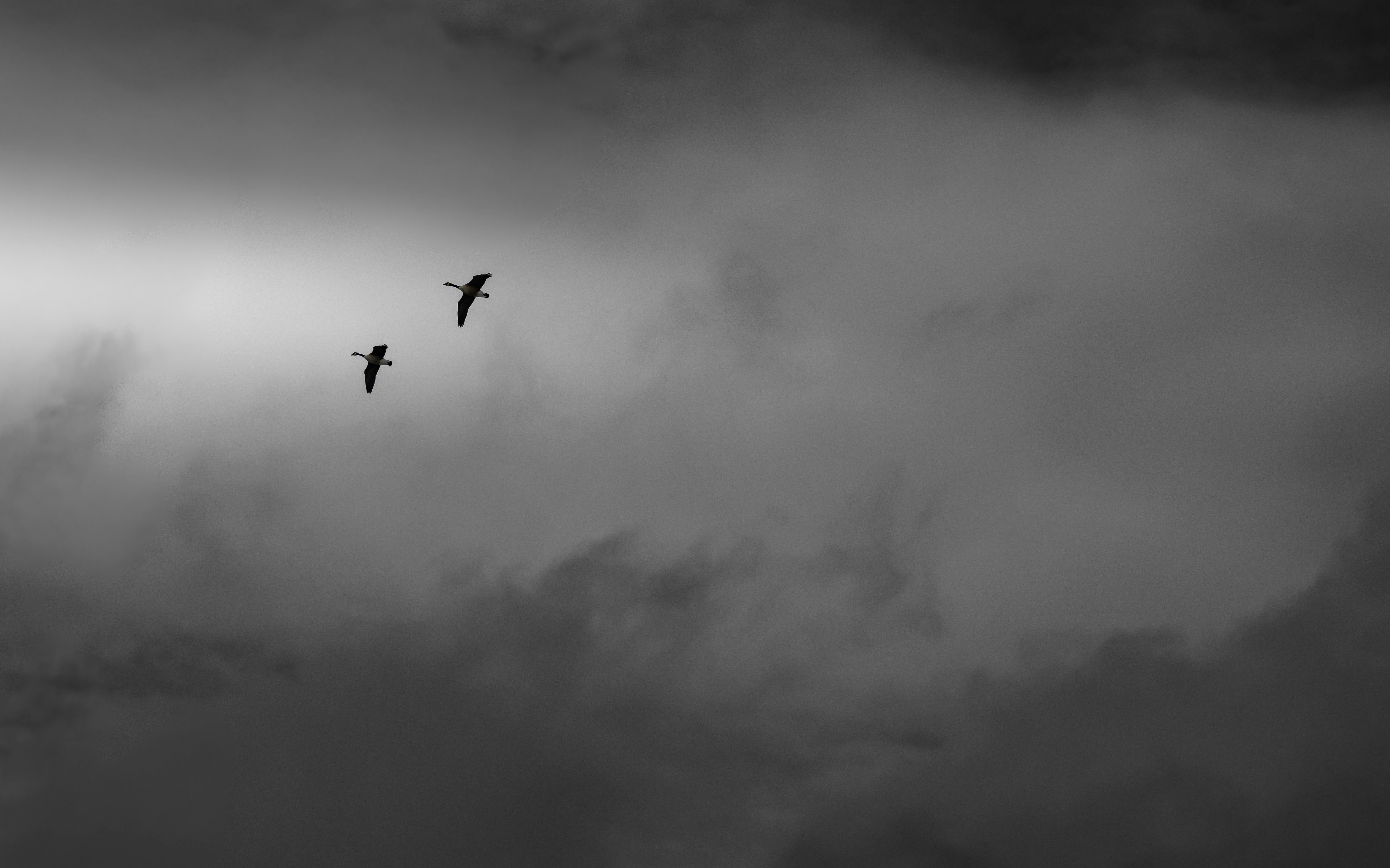 Two Migrants Crossing a Chiaroscuro Sky
