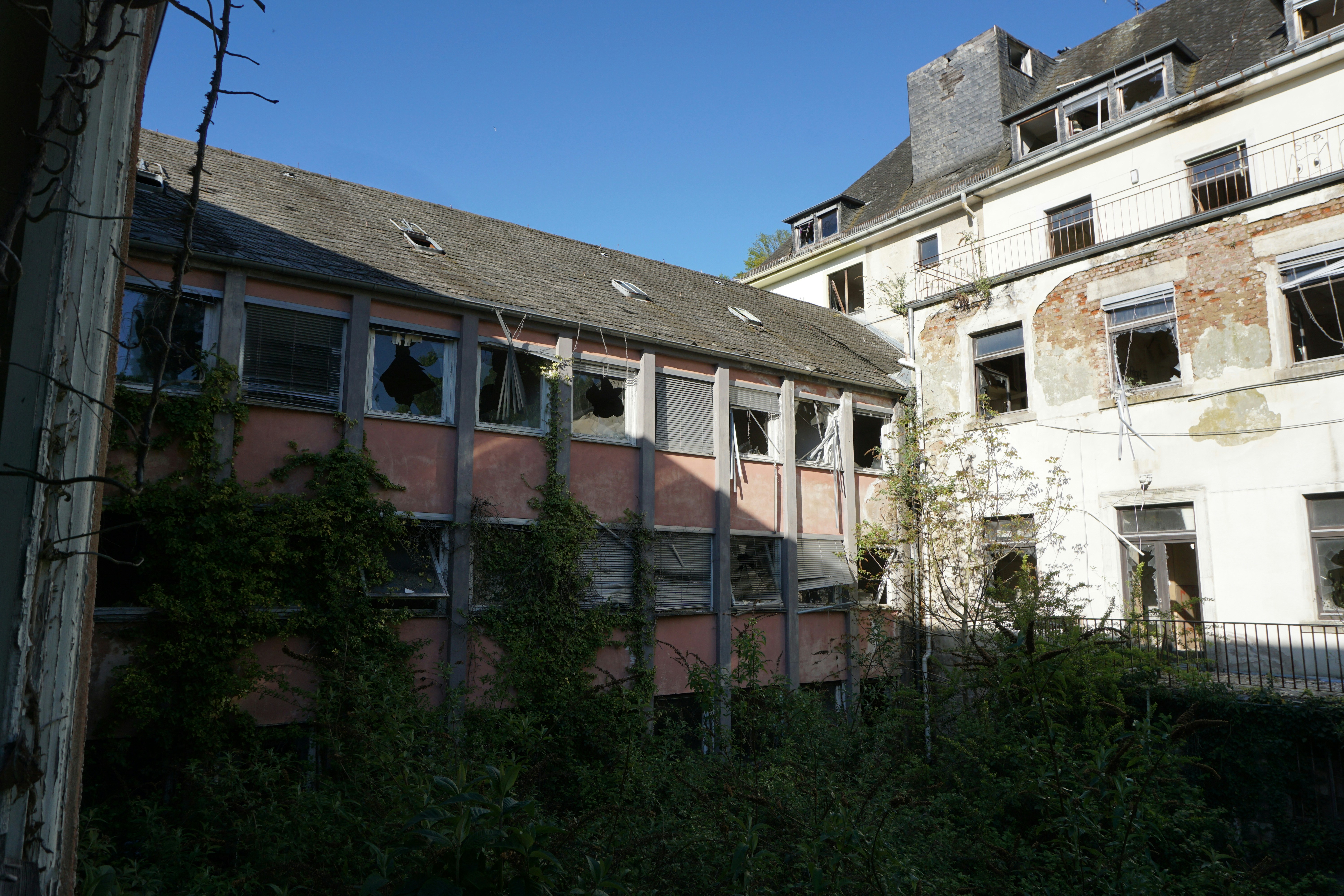 Abandoned Wing: Sunlit Shards in a Crumbling Campus