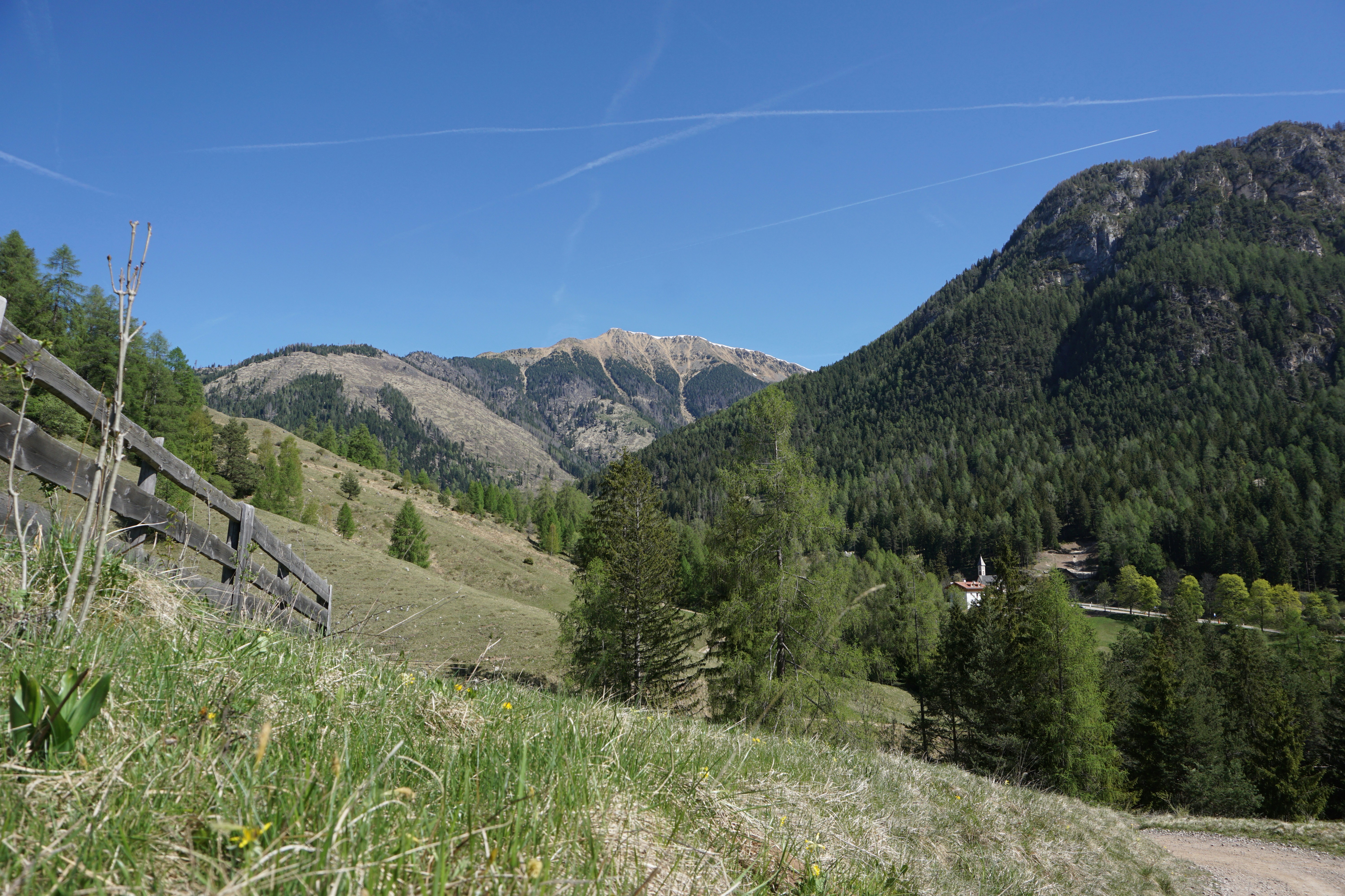 Mountain Meadow Corridor under a Clear Blue Sky