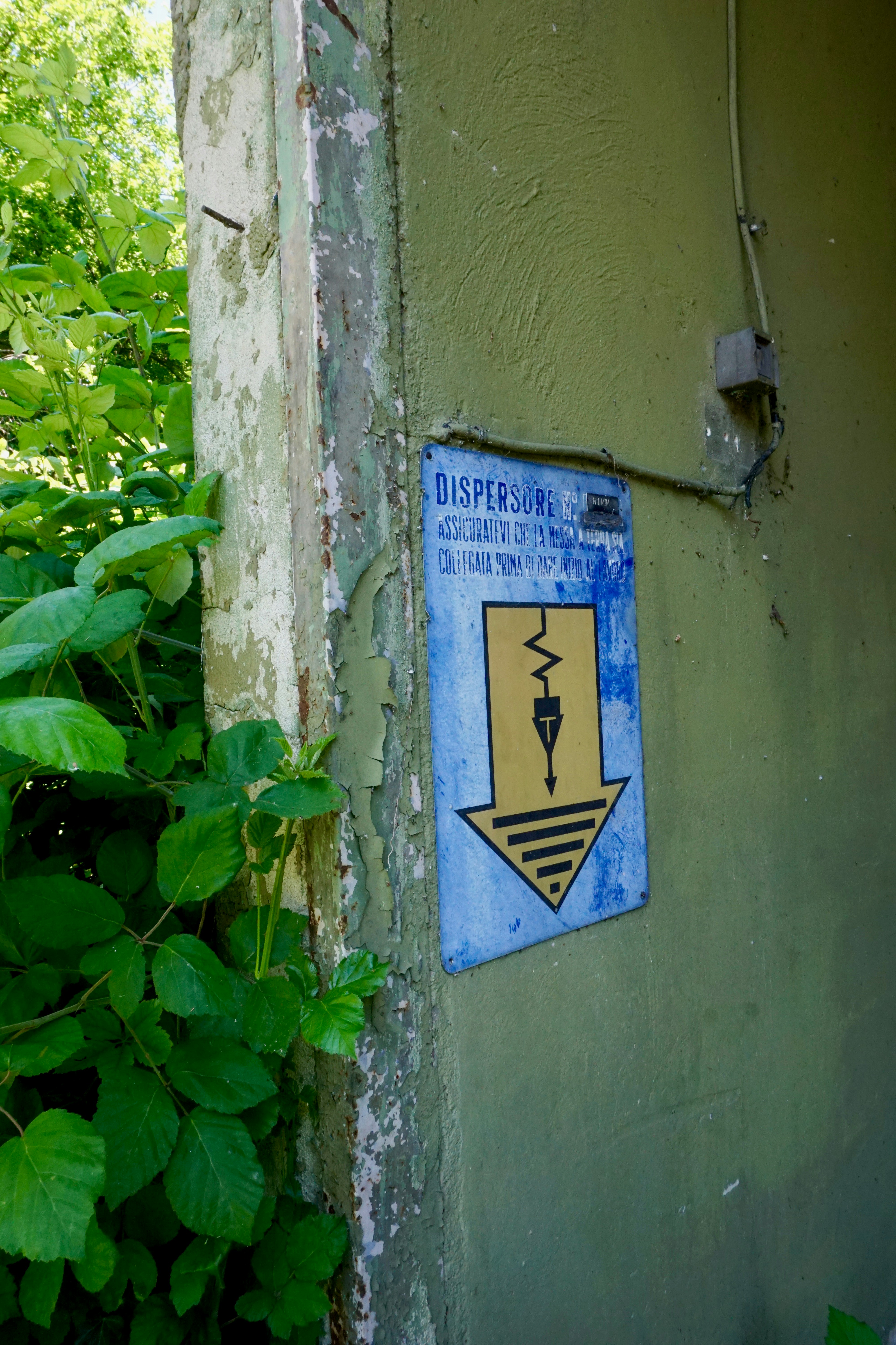 Overgrown Utility Door and Hazard Crest