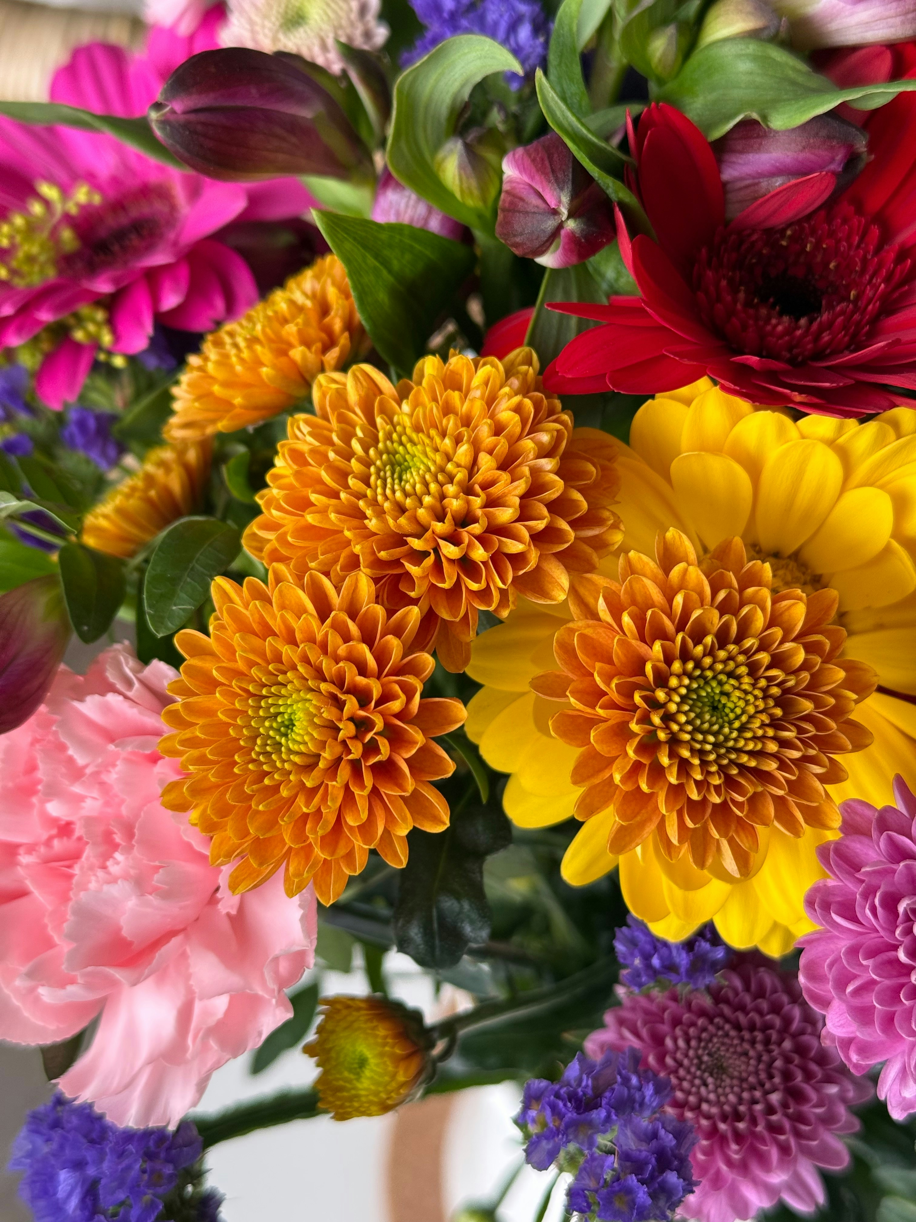 Amber Chrysanthemums Blooming Amid a Rainbow of Blossoms