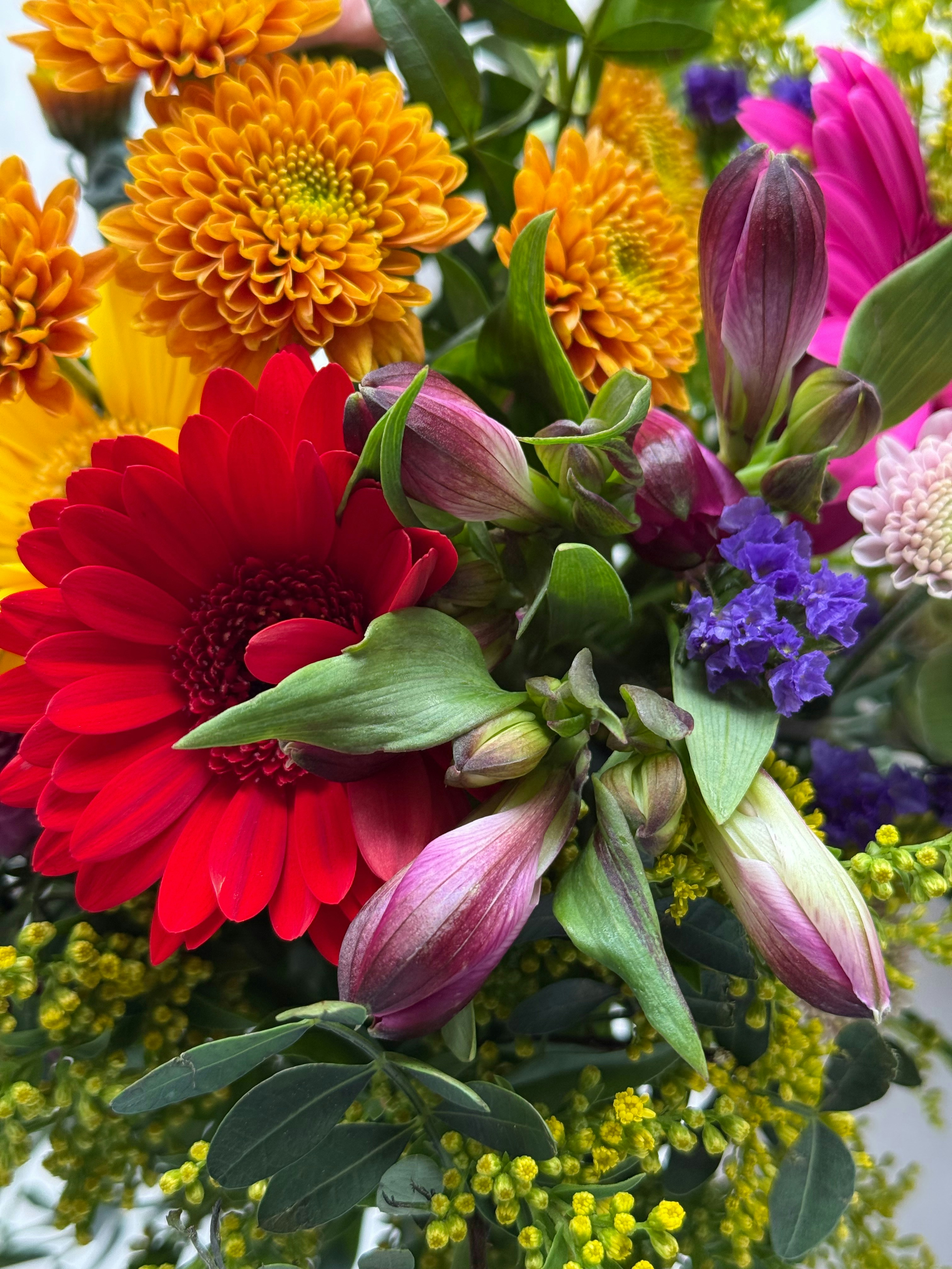Vibrant Bouquet Core: Red Daisies and Buds in Full Bloom
